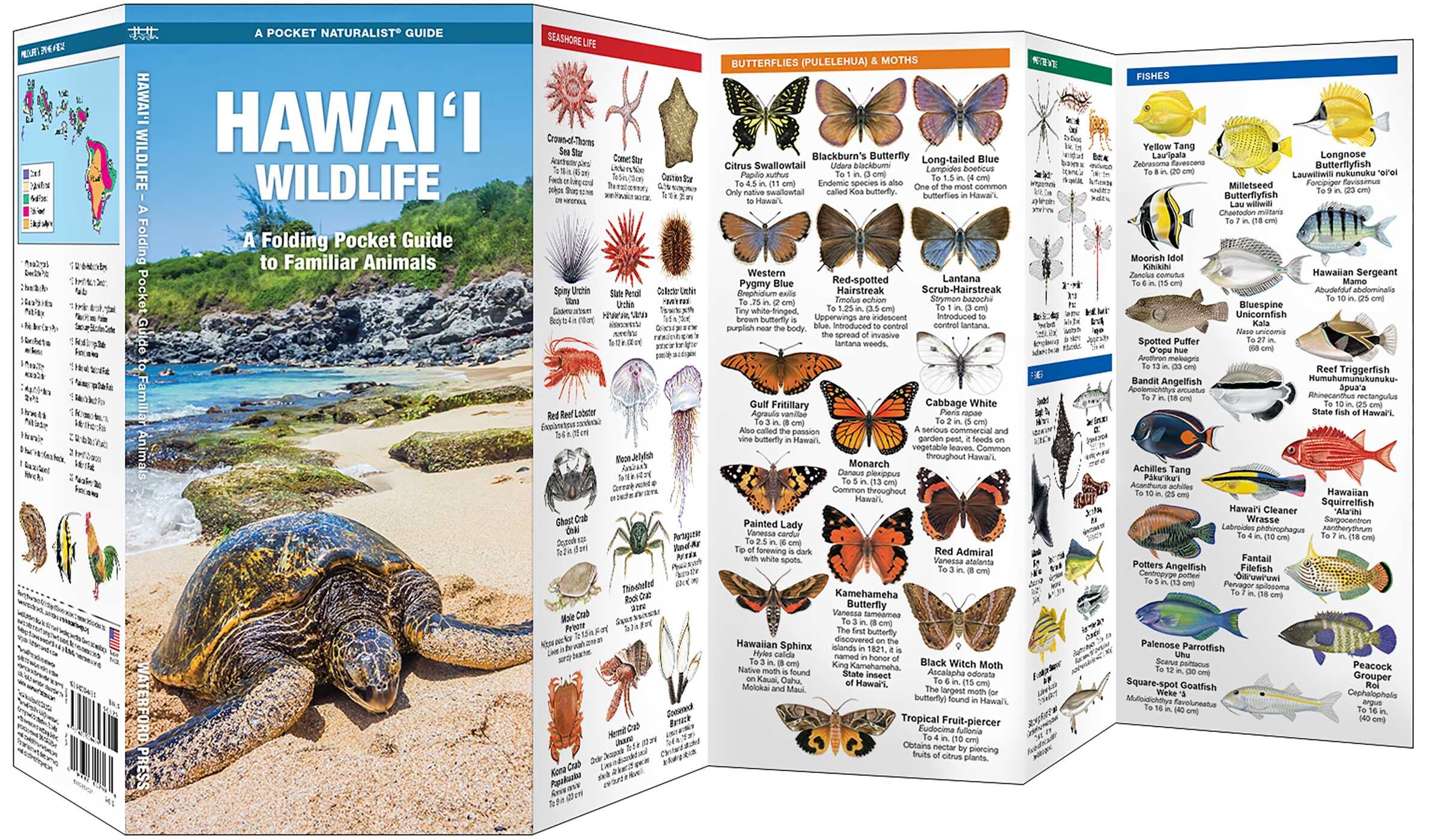 Hawai'i Wildlife, 2nd Ed - Book Summary & Video | Official Publisher ...