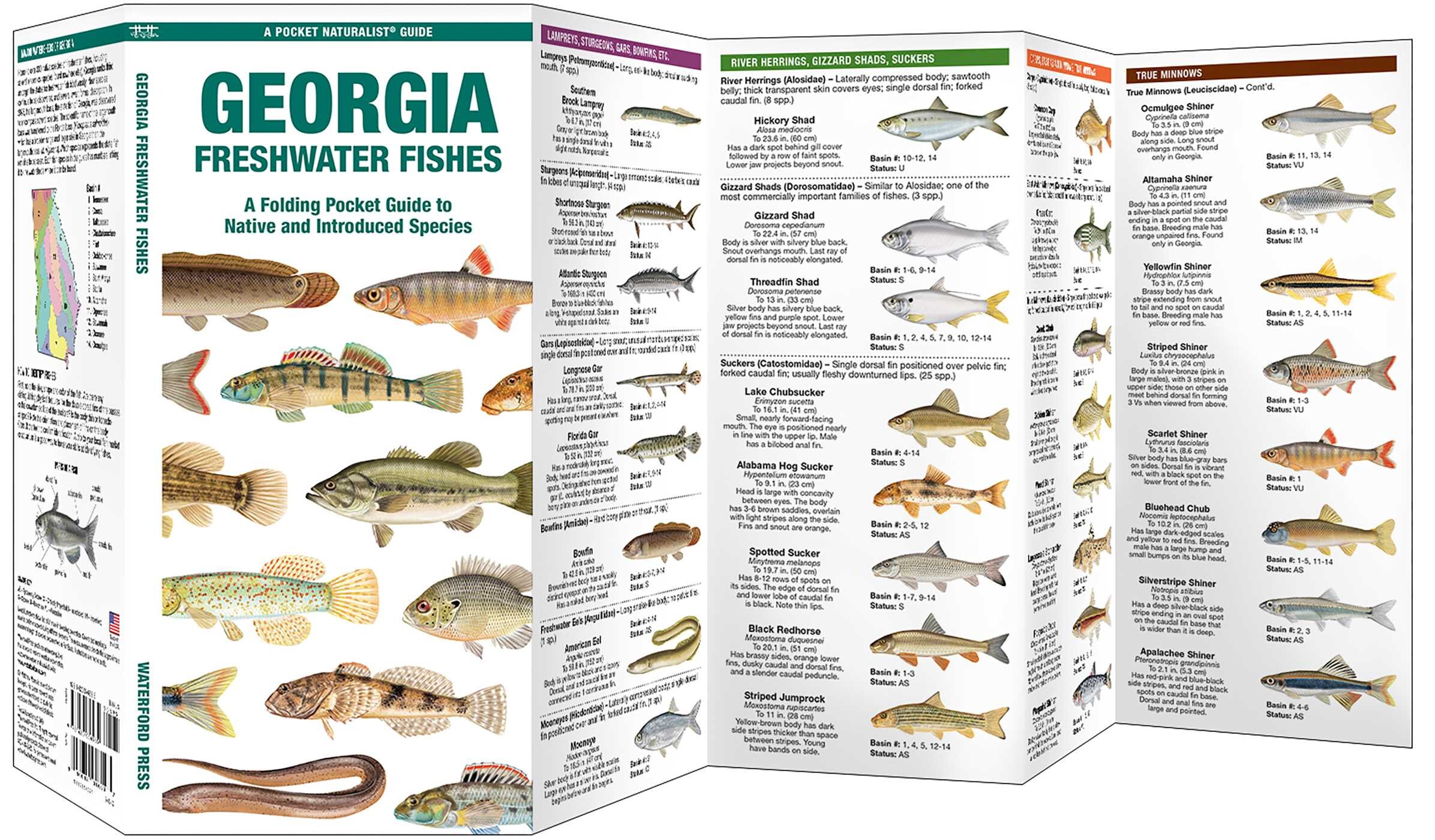 Georgia Freshwater Fishes - Book Summary & Video | Official Publisher ...