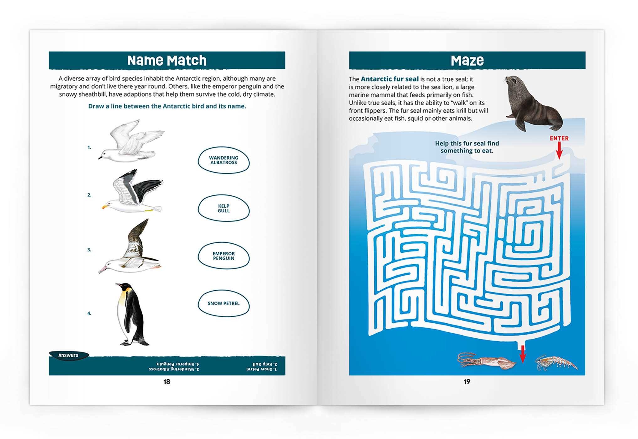Antarctic Wildlife Nature Activity Book | Book by J.M. Kavanagh ...