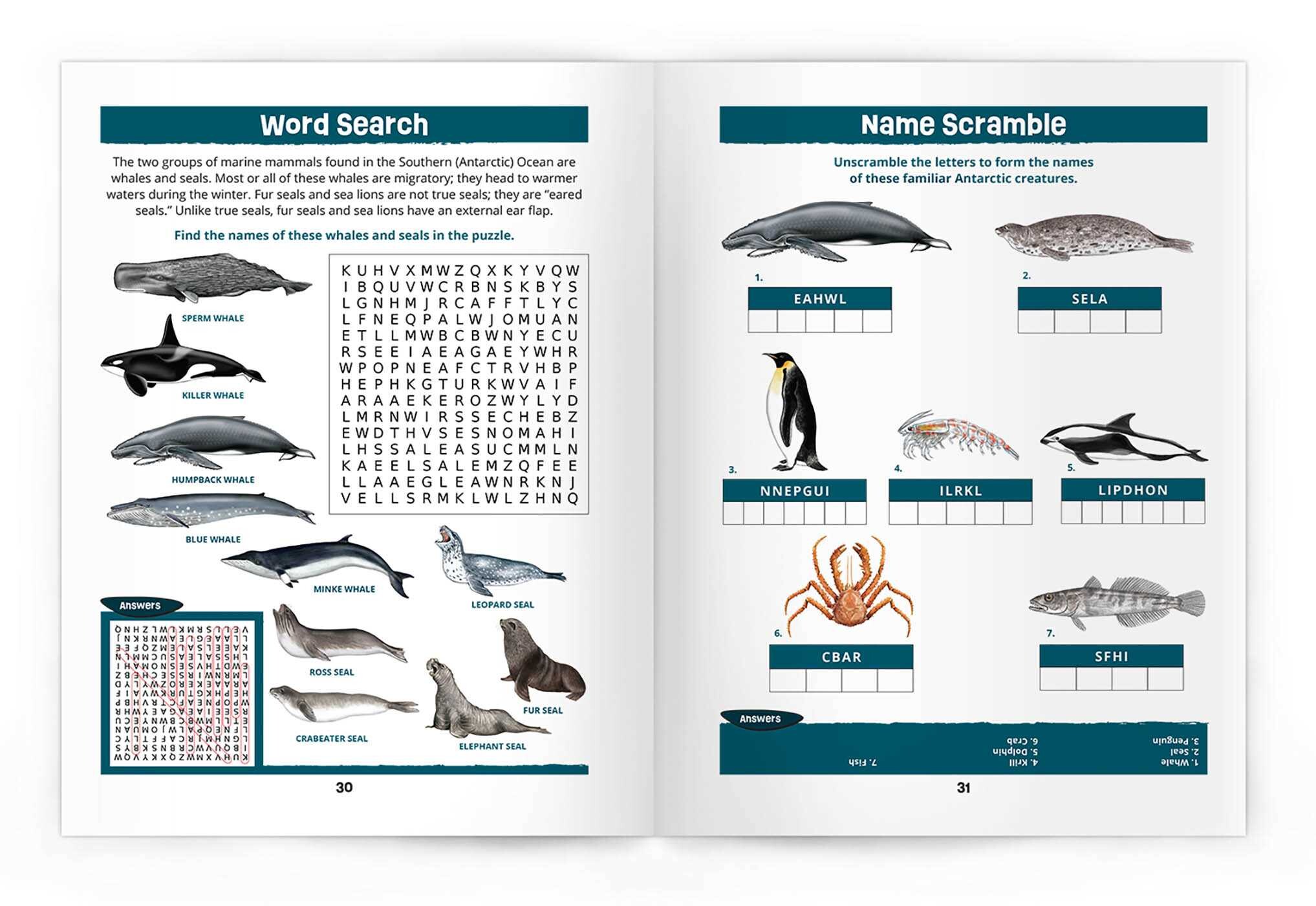 Antarctic Wildlife Nature Activity Book | Book by J.M. Kavanagh ...