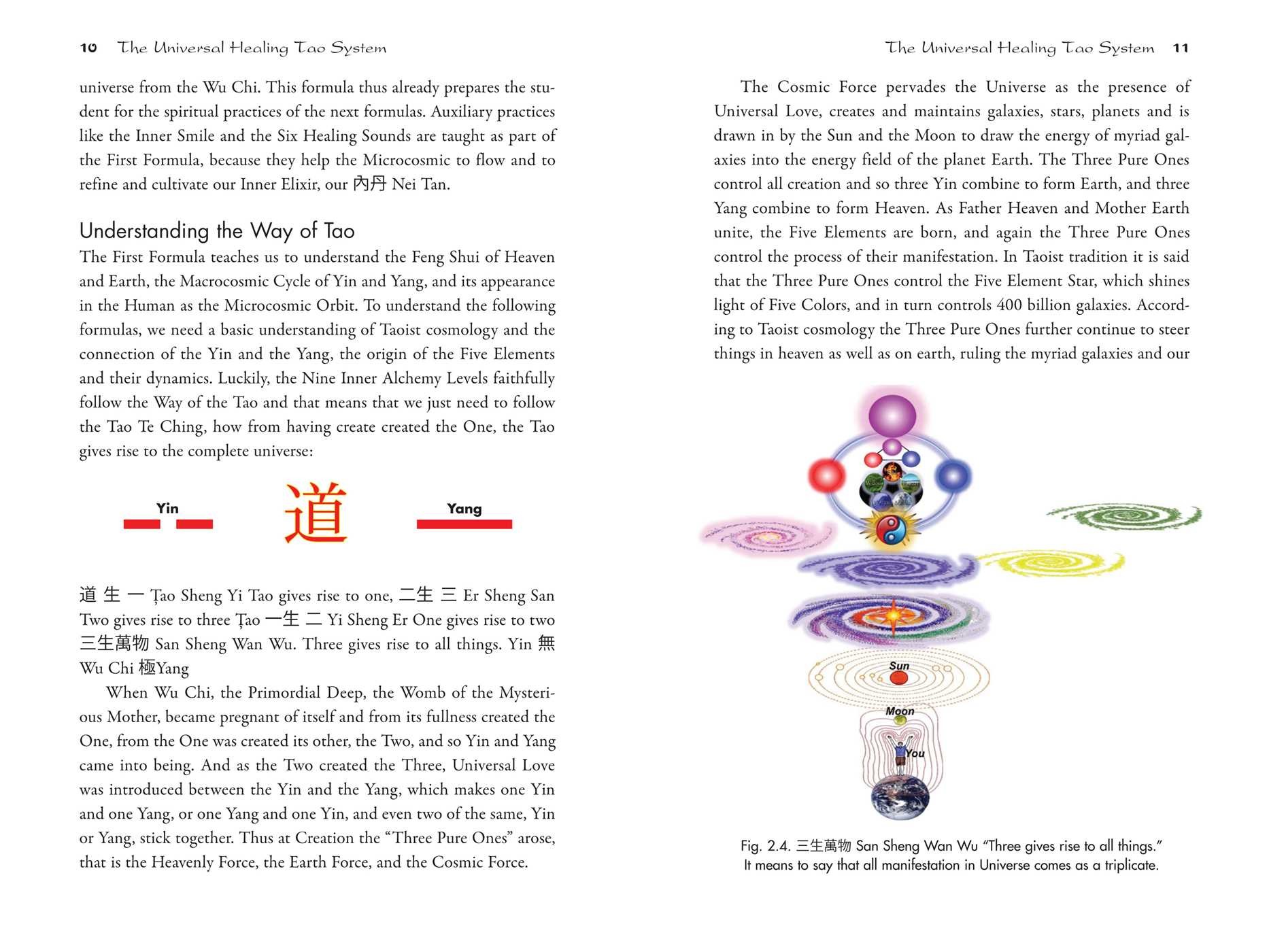 The Tao of Immortality | Book by Mantak Chia, William U. Wei | Official ...