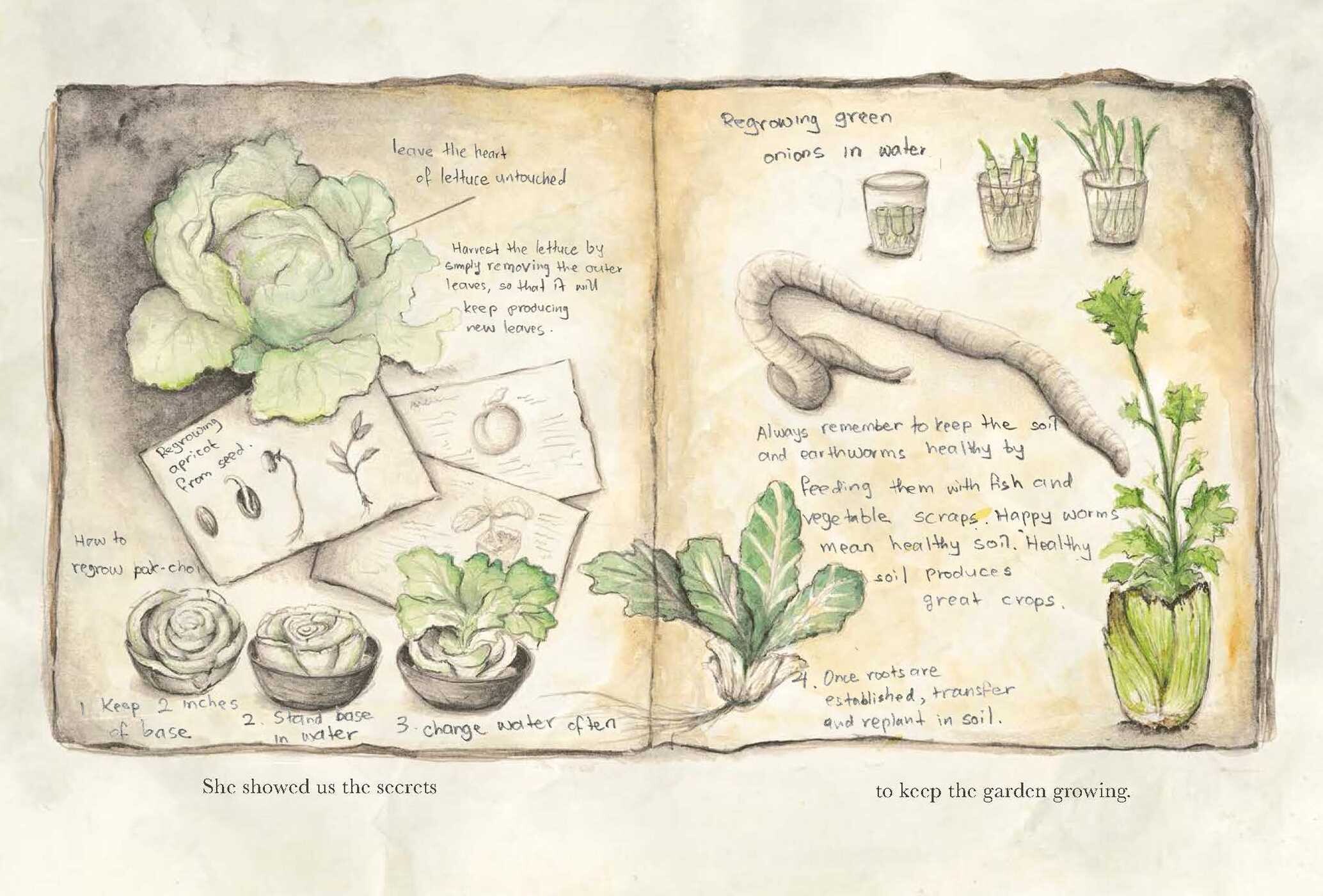 Higher Ground: A Graphic Novel | Book by Tull Suwannakit | Official ...