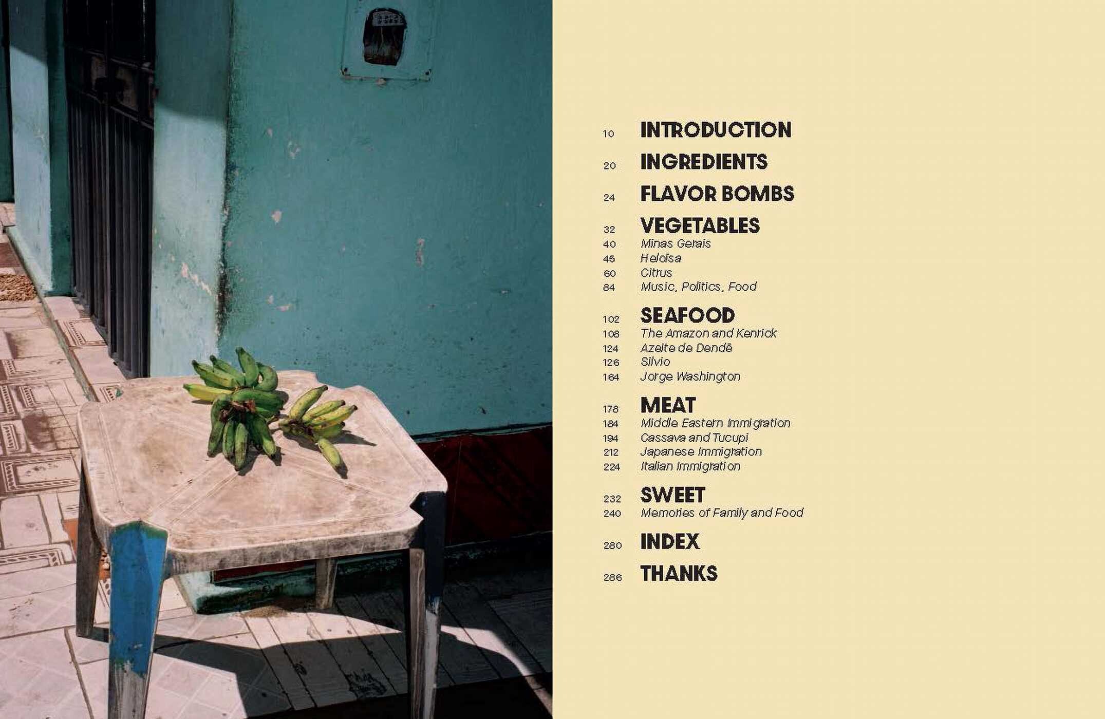 Fusão | Book by Ixta Belfrage, Kim Lightbody, Pedro Pinho | Official ...