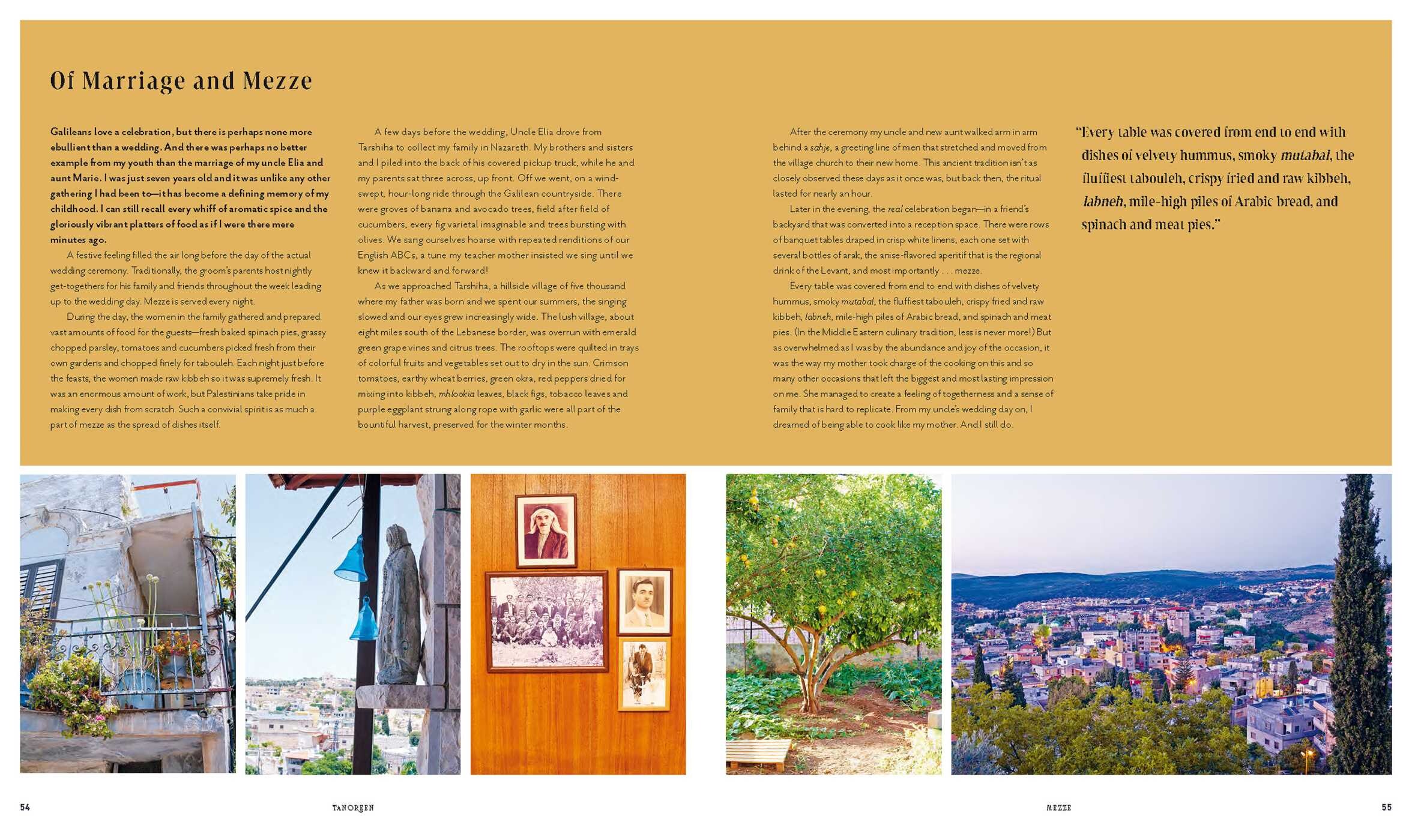 Tanoreen | Book by Rawia Bishara, Peter Cassidy | Official Publisher ...