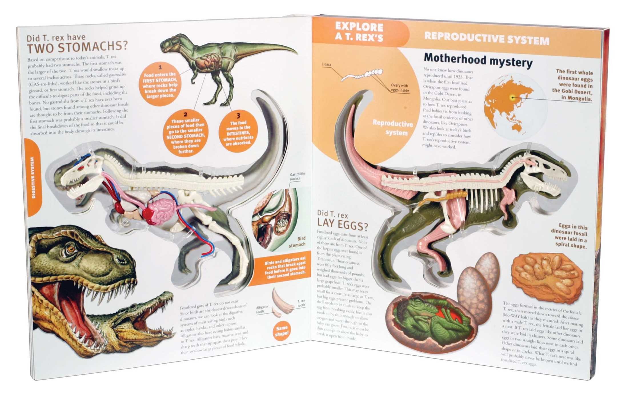 Explore a T. Rex | Book by Dennis Schatz, Davide Bonadonna, Christian ...