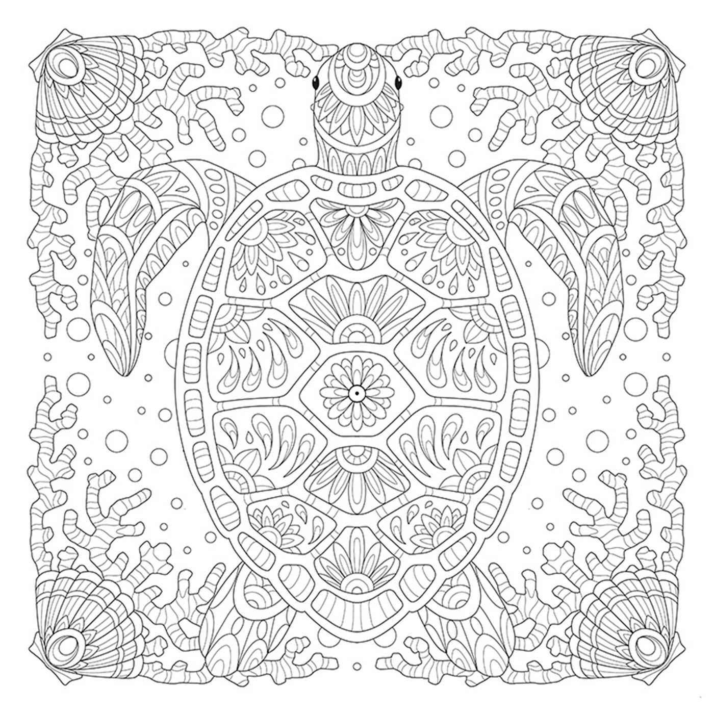 My Ocean Mandala Coloring Book | Book by Marica Zottino | Official ...