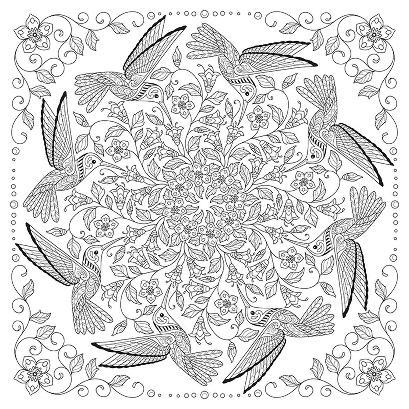 My Bird Mandala Coloring Book | Book by Marica Zottino | Official ...