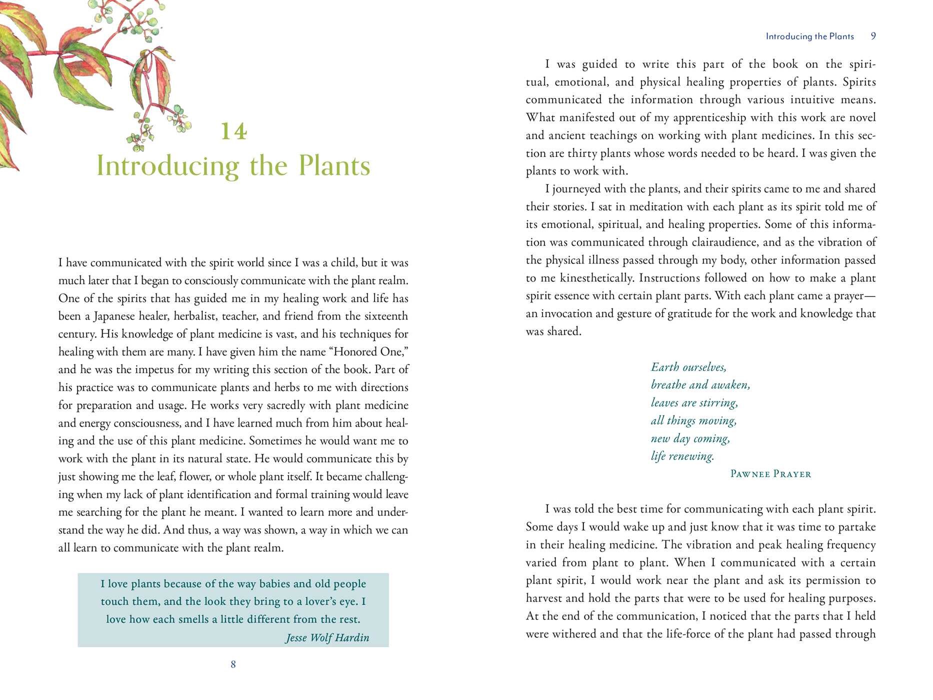 The Divine Nature of Plants eBook by Laura Aversano, John Beaulieu ...