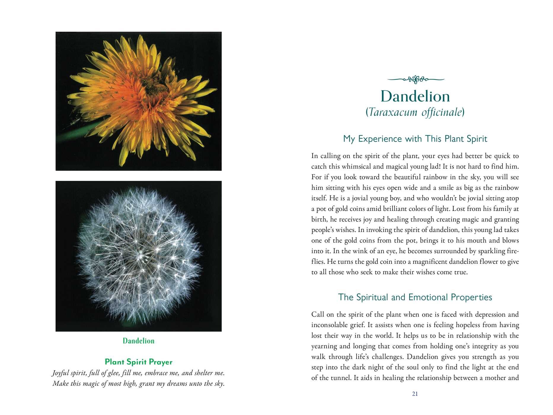 The Divine Nature of Plants eBook by Laura Aversano, John Beaulieu ...