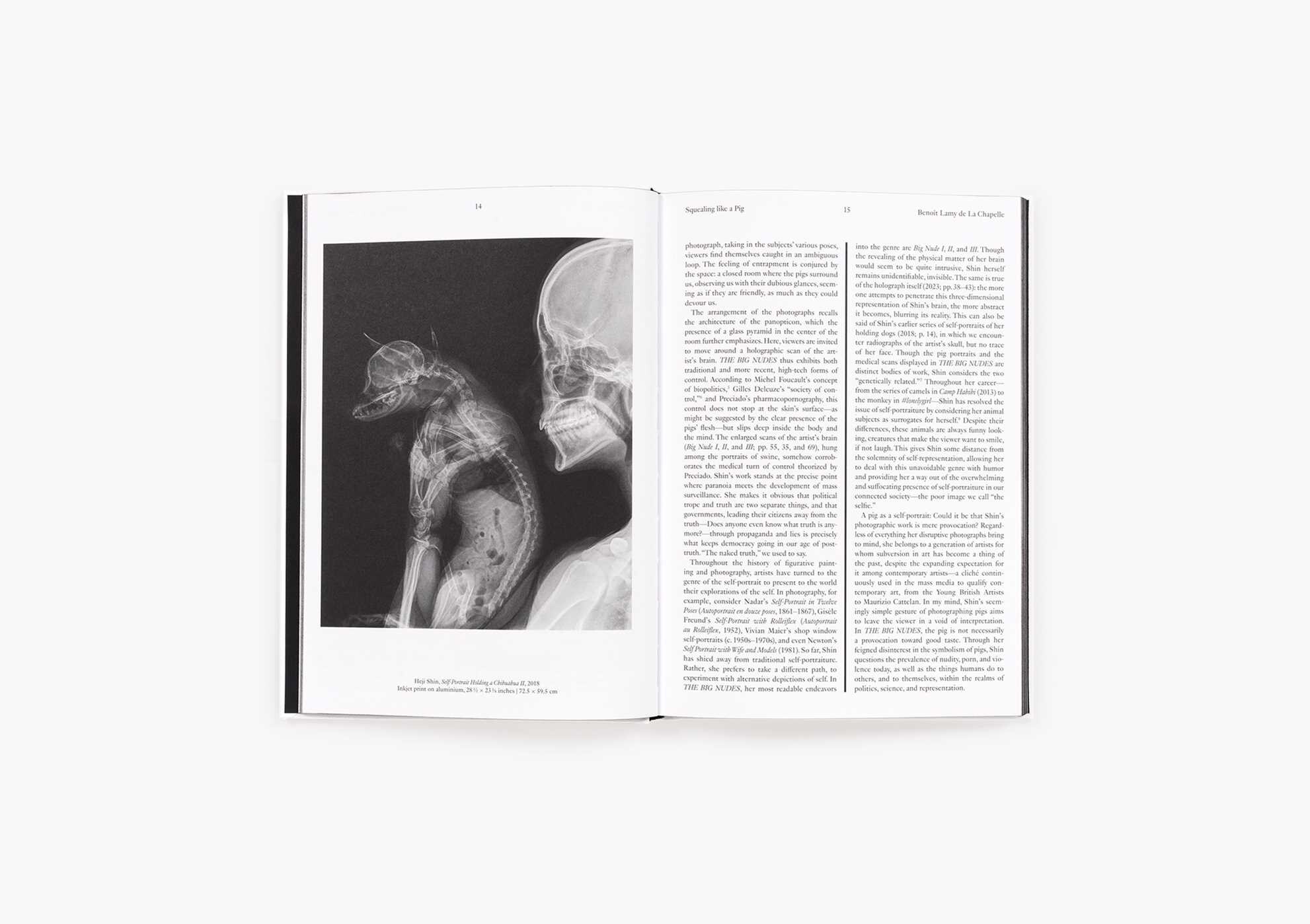Heji Shin: THE BIG NUDES | Book by Heji Shin, Ebony L. Haynes, Benoît Lamy de La Chapelle ...