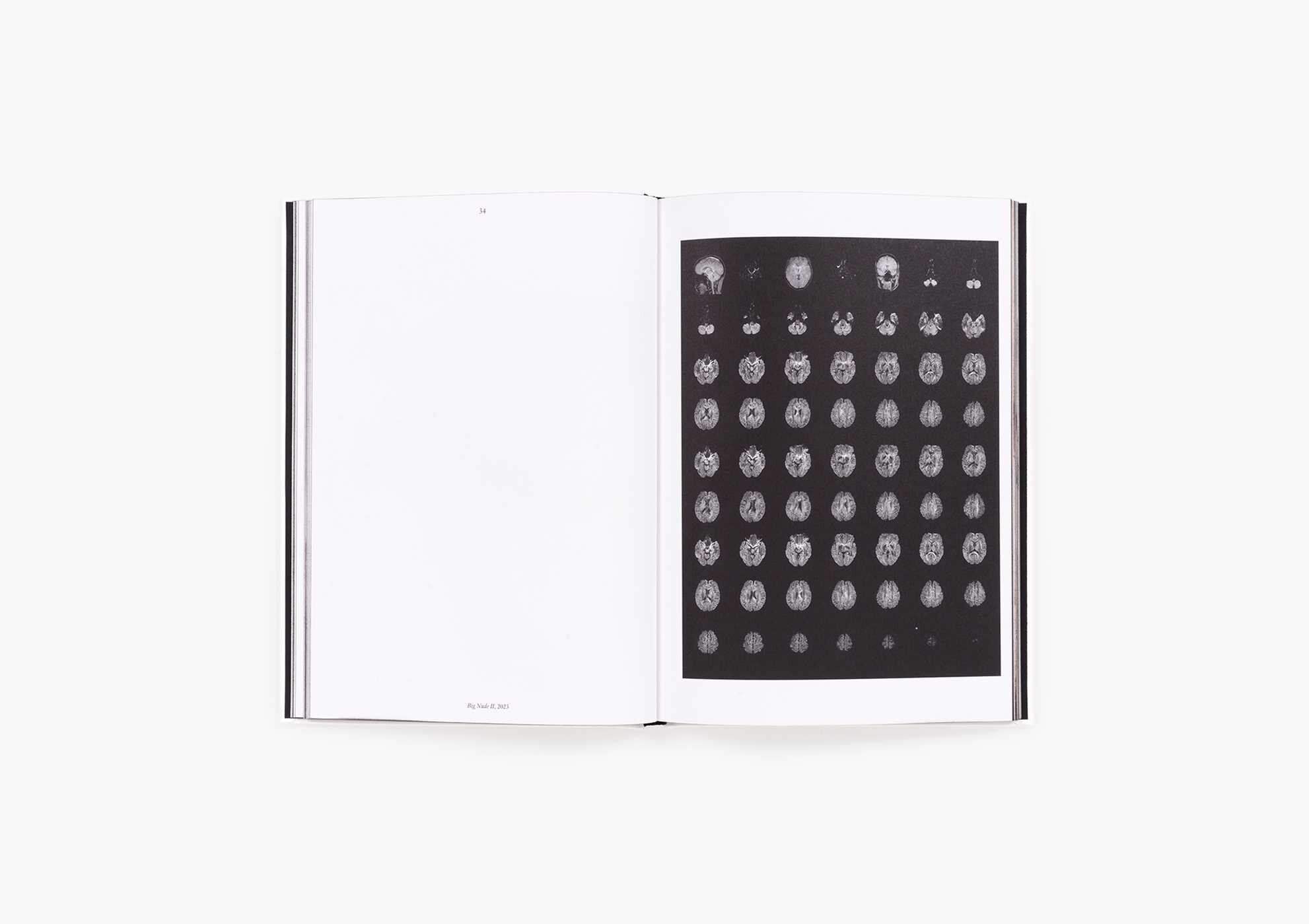 Heji Shin: THE BIG NUDES | Book by Heji Shin, Ebony L. Haynes, Benoît Lamy de La Chapelle ...