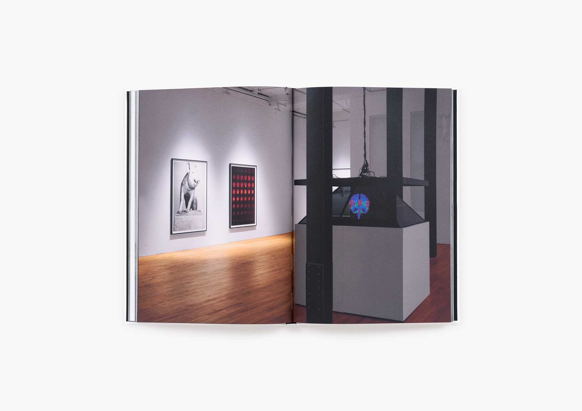 Heji Shin: THE BIG NUDES | Book by Heji Shin, Ebony L. Haynes, Benoît Lamy de La Chapelle ...