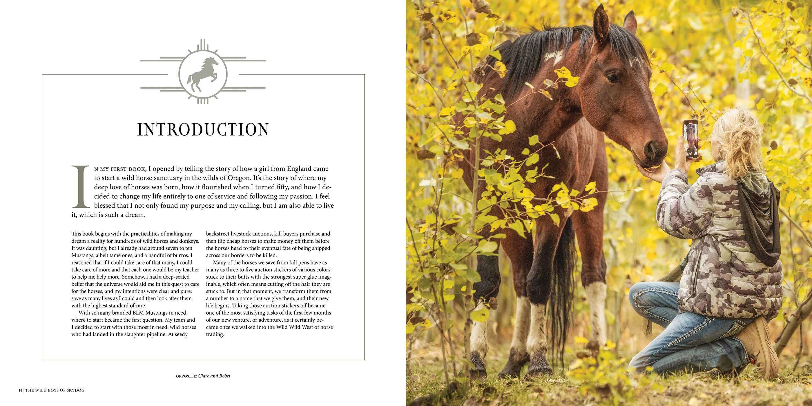 The Wild Boys of Skydog | Book by Clare Staples | Official Publisher ...