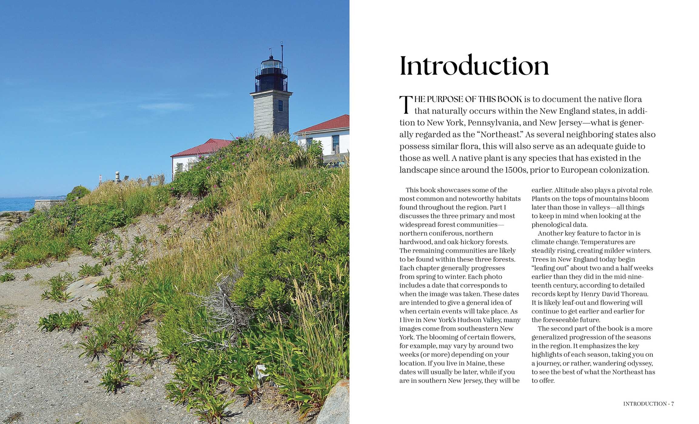 Through the Seasons | Book by Michael Adamovic | Official Publisher ...