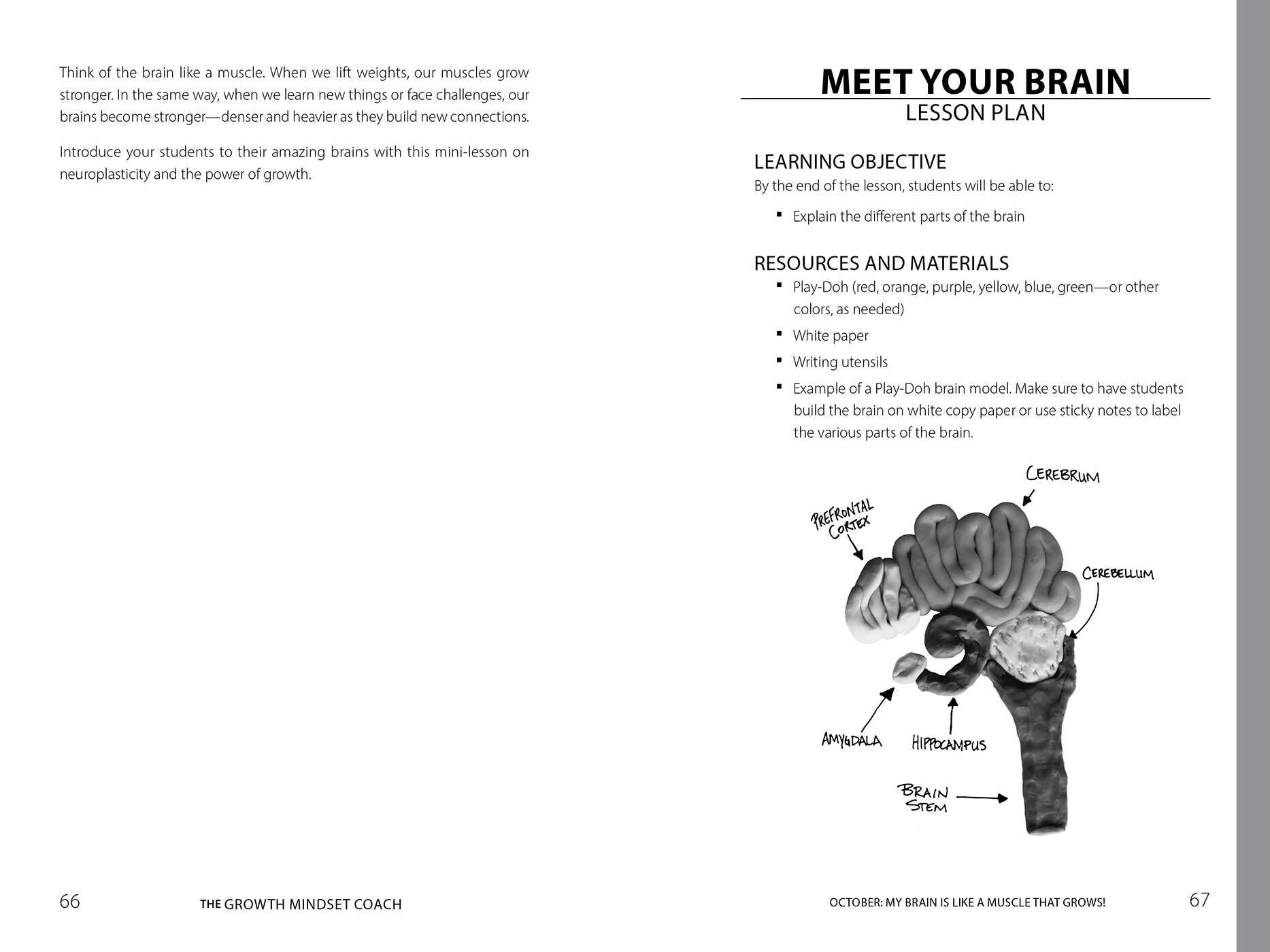 The Growth Mindset Coach, Second Edition | Book by Annie Brock, Heather ...