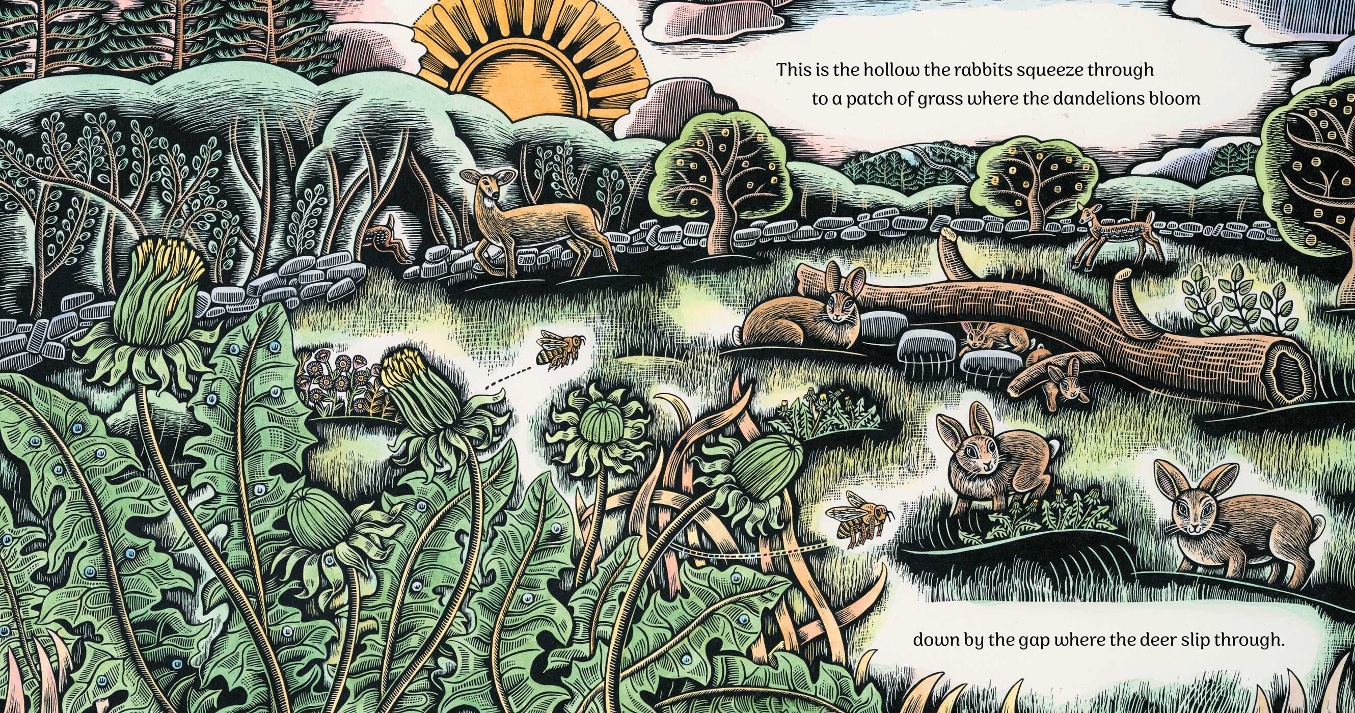 Where the Deer Slip Through | Book by Katey Howes, Beth Krommes ...