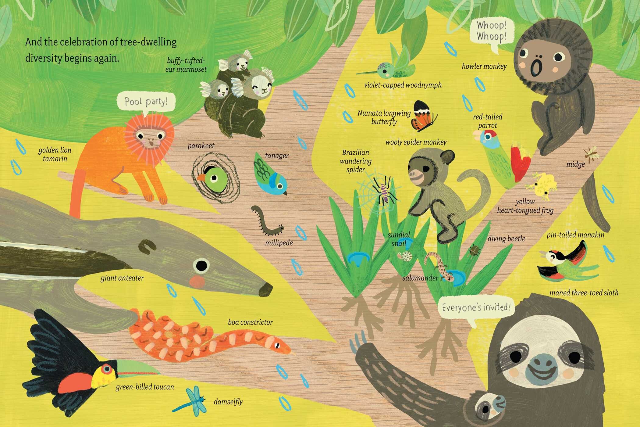 Pool Party! | Book by Amy Hevron | Official Publisher Page | Simon ...