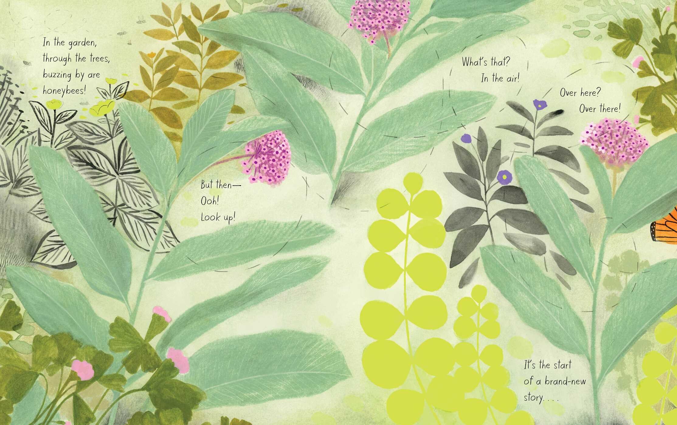 The Monarch | Book by Kirsten Hall, Isabelle Arsenault | Official ...