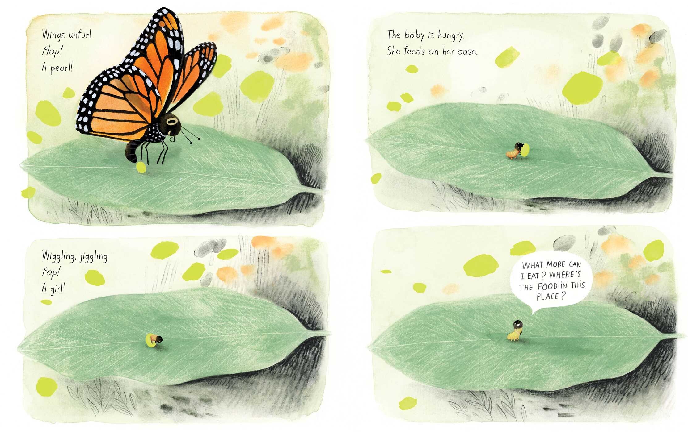 The Monarch | Book by Kirsten Hall, Isabelle Arsenault | Official ...