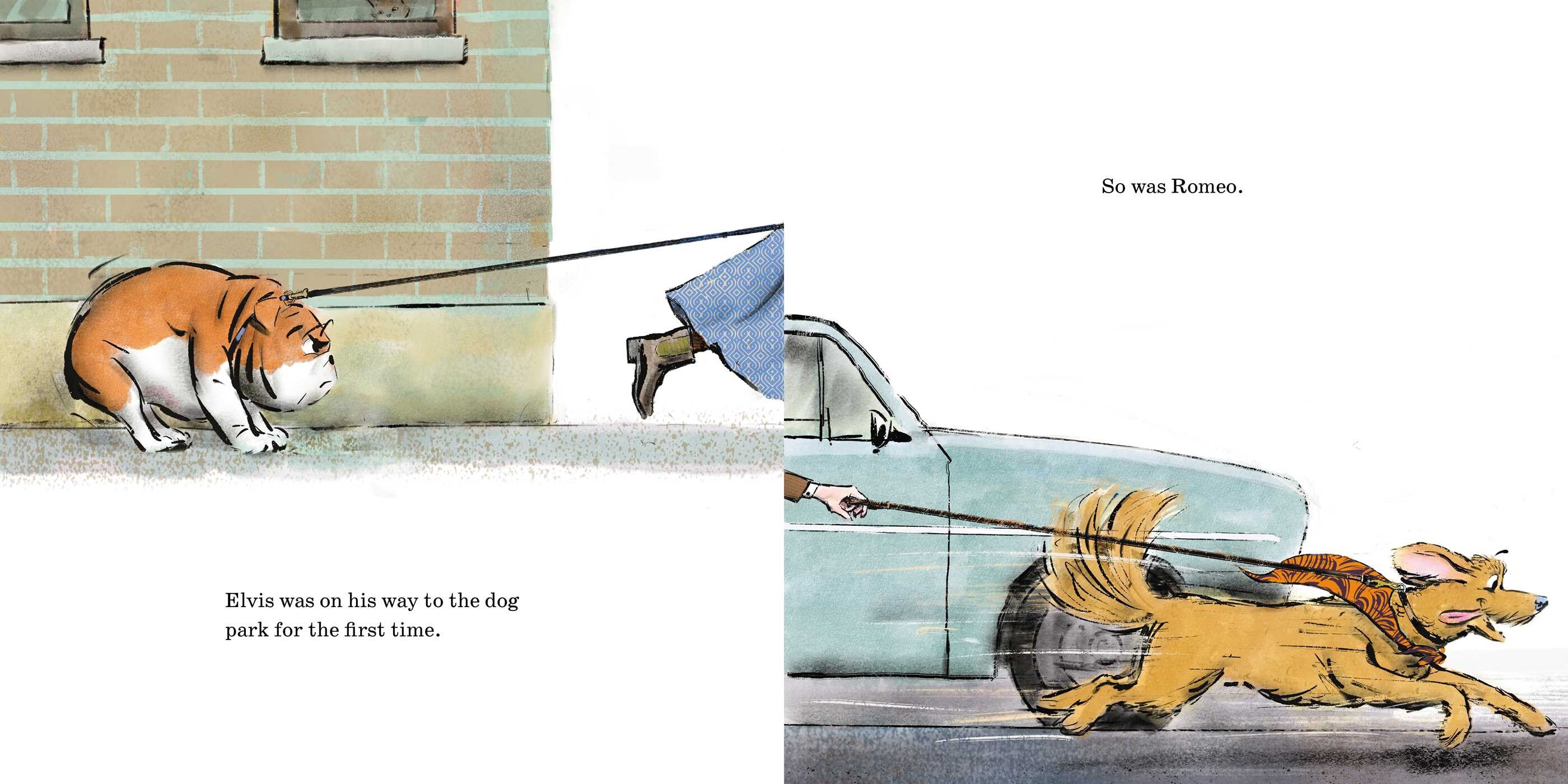 Elvis & Romeo | Book by David Soman, Jacky Davis | Official Publisher ...