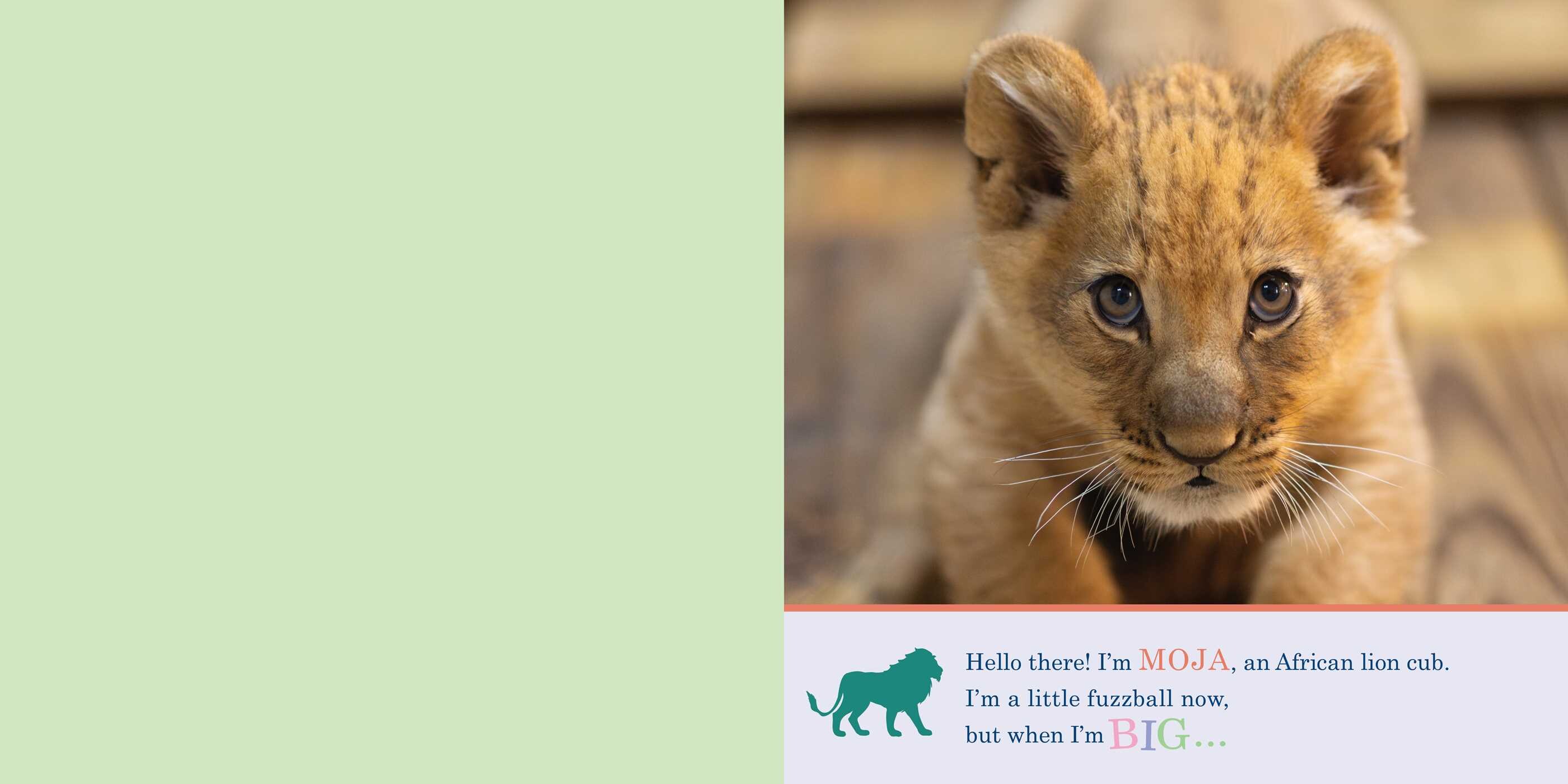 ZooBorns! When I'm Big | Book by Andrew Bleiman, Chris Eastland ...