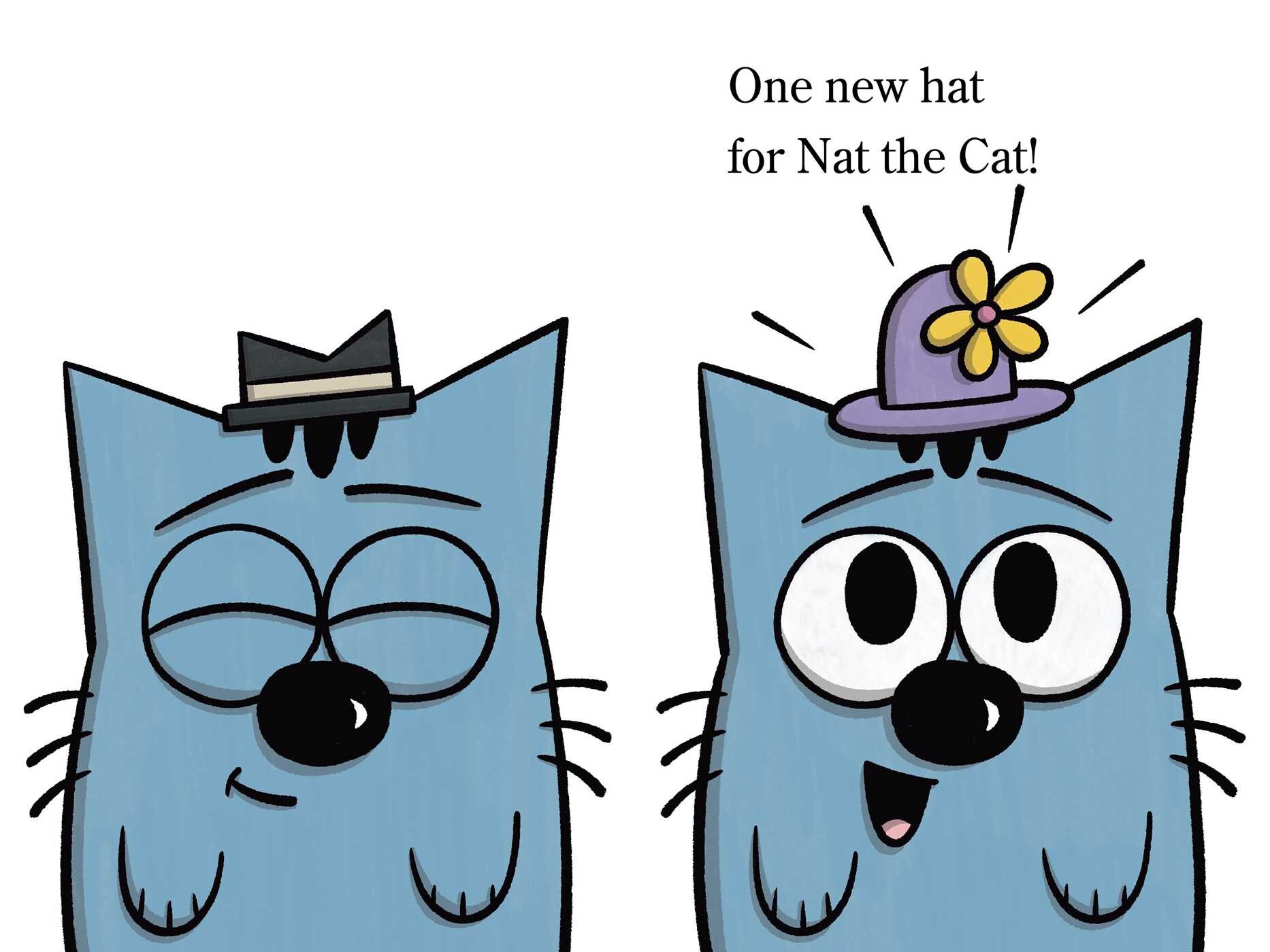 Nat the Cat Has a Hat | Book by Jarrett Lerner | Official Publisher ...