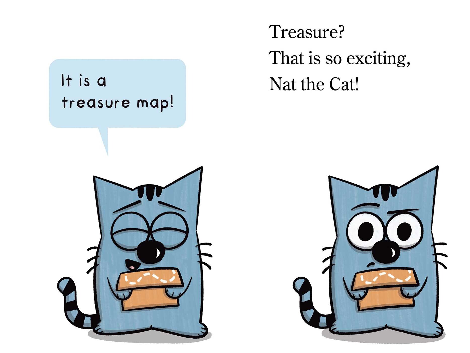 Nat the Cat Finds a Map | Book by Jarrett Lerner | Official Publisher ...