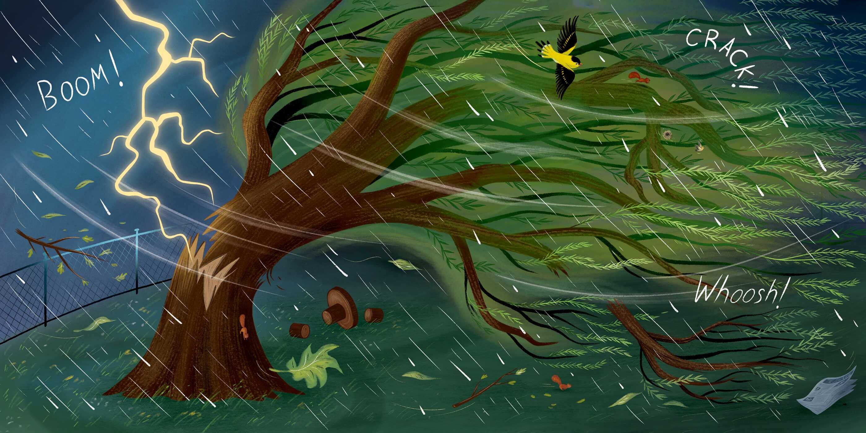 Wonderfully Wild | Book by Jessica Stremer, Josée Masse | Official ...