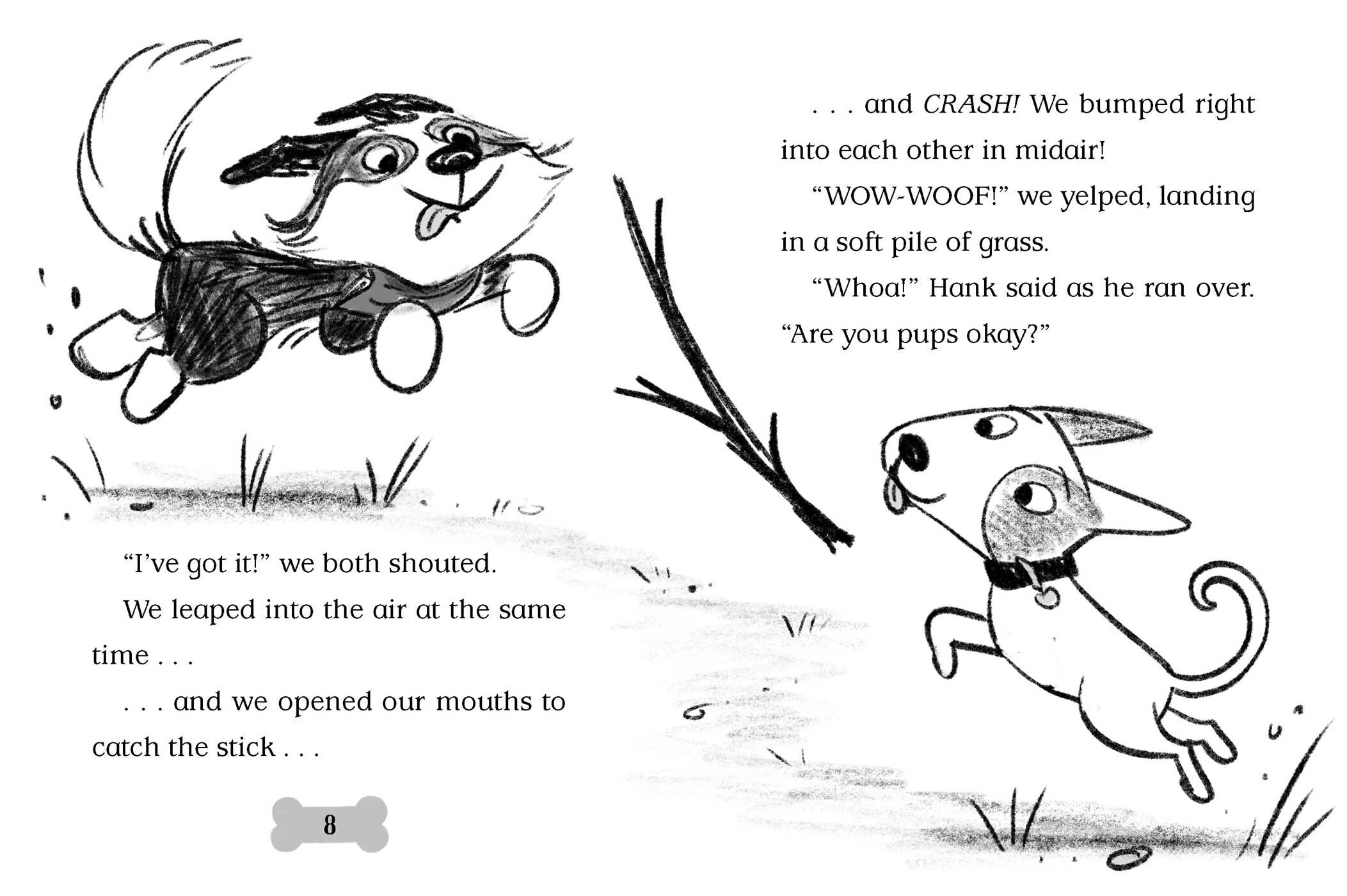 The Bark Park | Book by Cam Higgins, Ariel Landy | Official Publisher ...