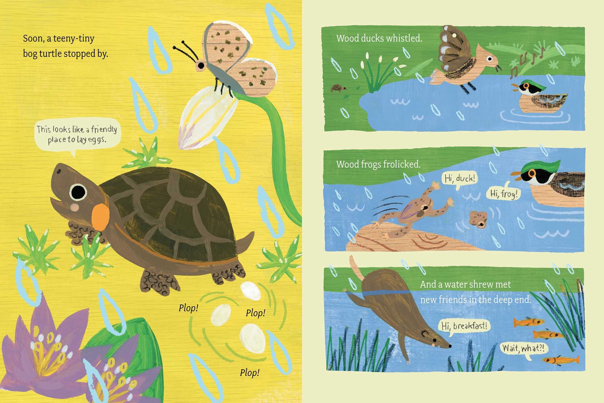 Bog Buddies | Book by Amy Hevron | Official Publisher Page | Simon ...