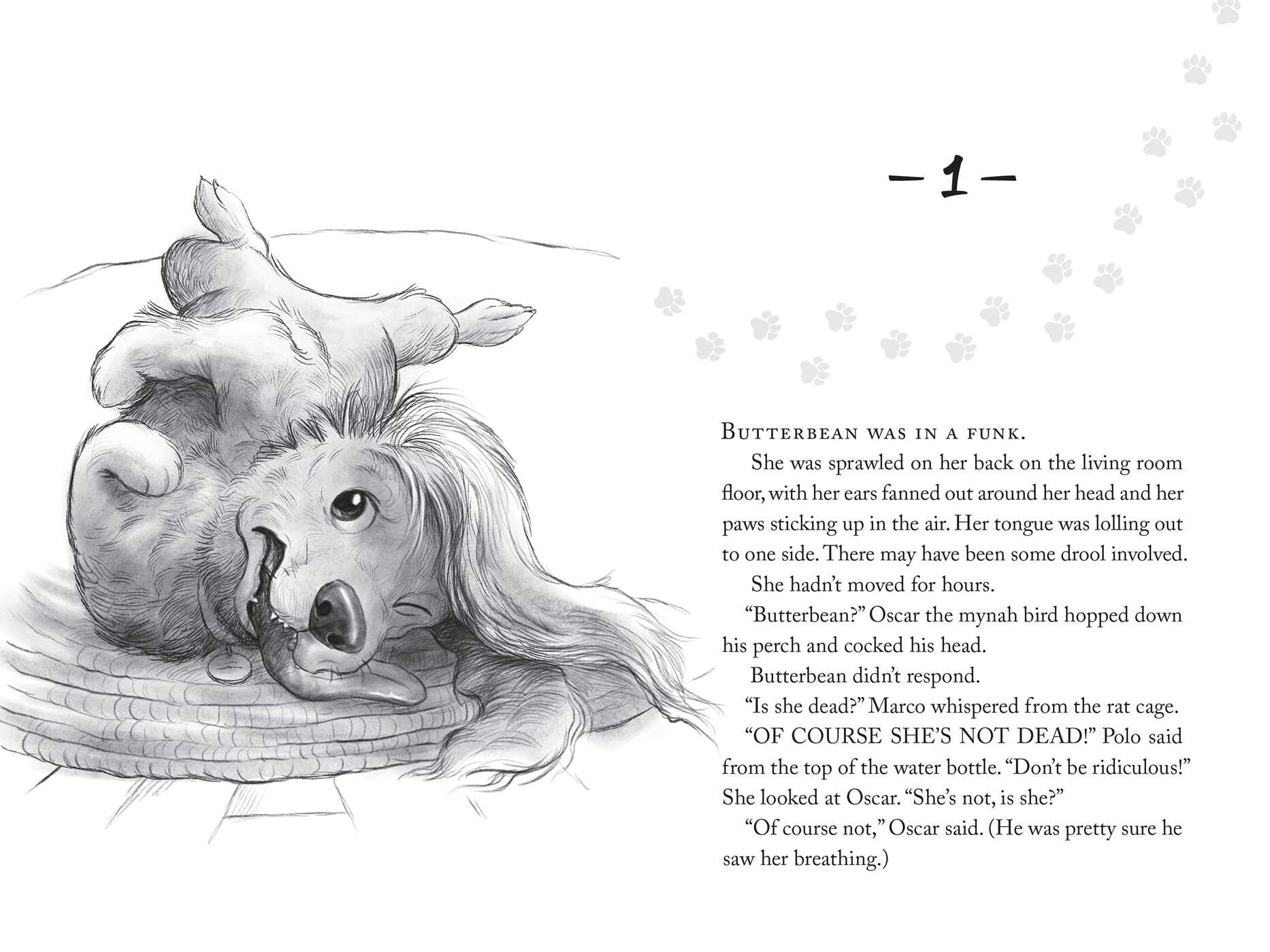 The Great Puppypalooza | Book by Emily Ecton, David Mottram | Official ...