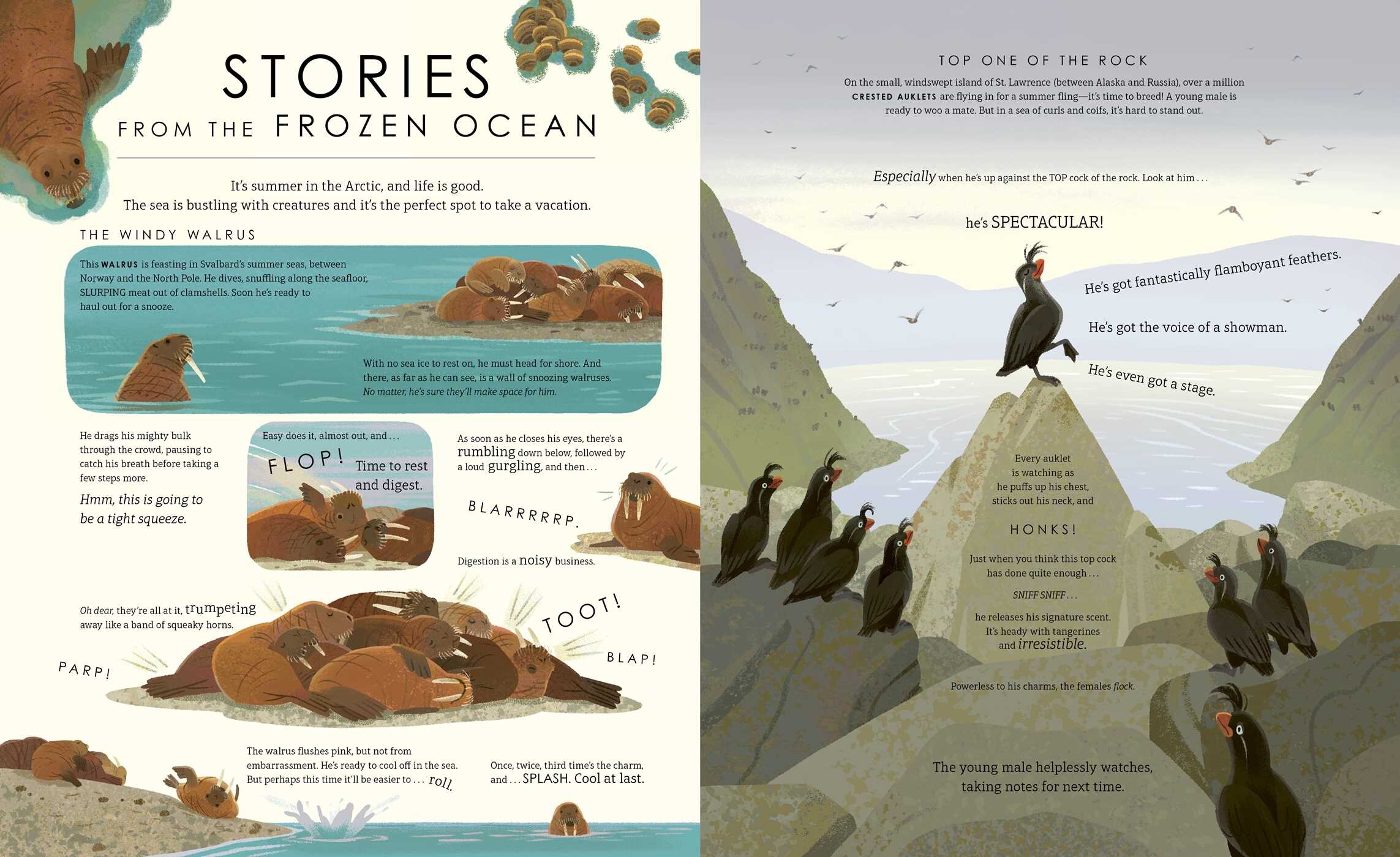 Our Frozen Planet | Book by Leisa Stewart-Sharpe, Kim Smith, Chris ...