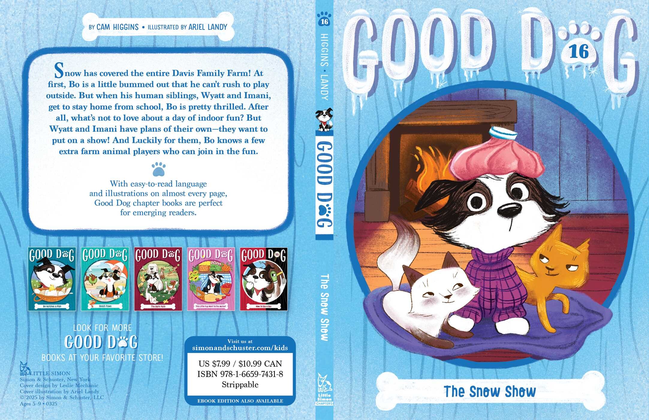 The Snow Show | Book by Cam Higgins, Ariel Landy | Official Publisher ...