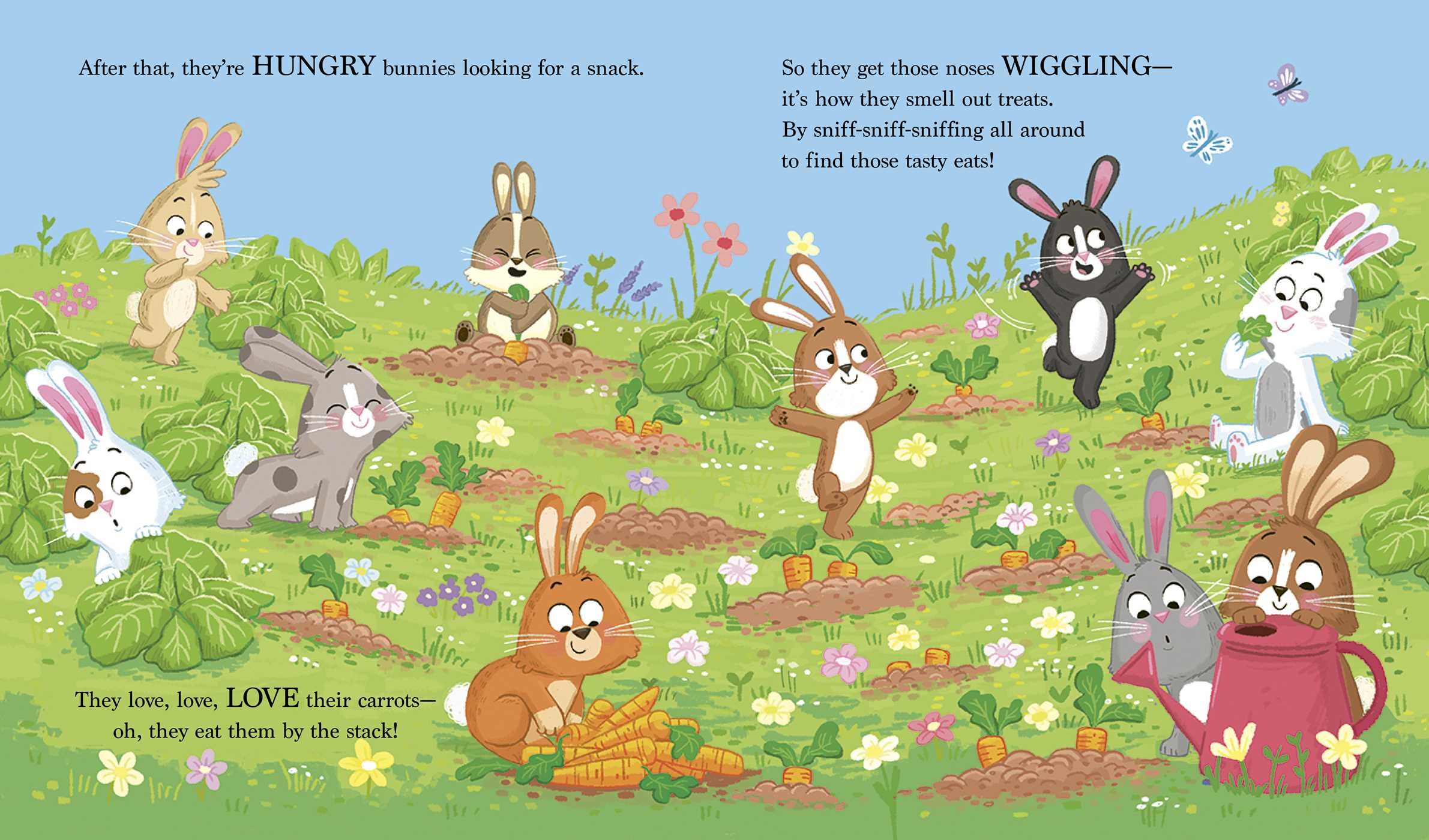 Bouncing Bunnies! | Book by Fiz Osborne, Tim Budgen | Official ...