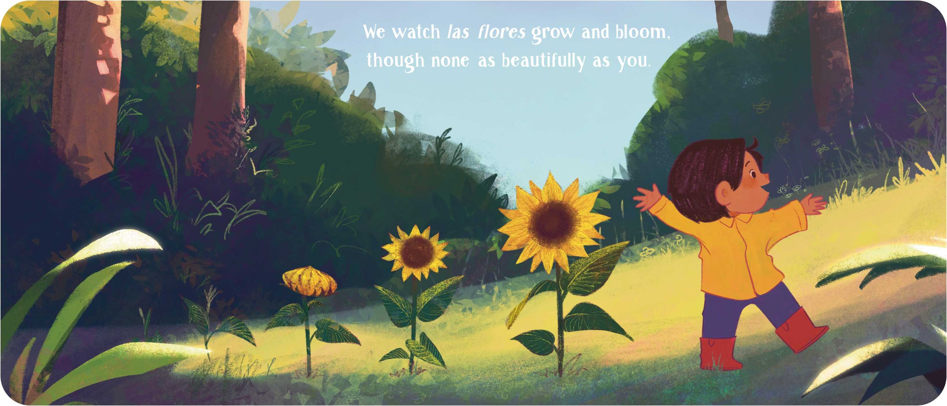 Mi Cielo, My Sky | Book by Dori Elys, Erika Rodriguez Medina | Official ...