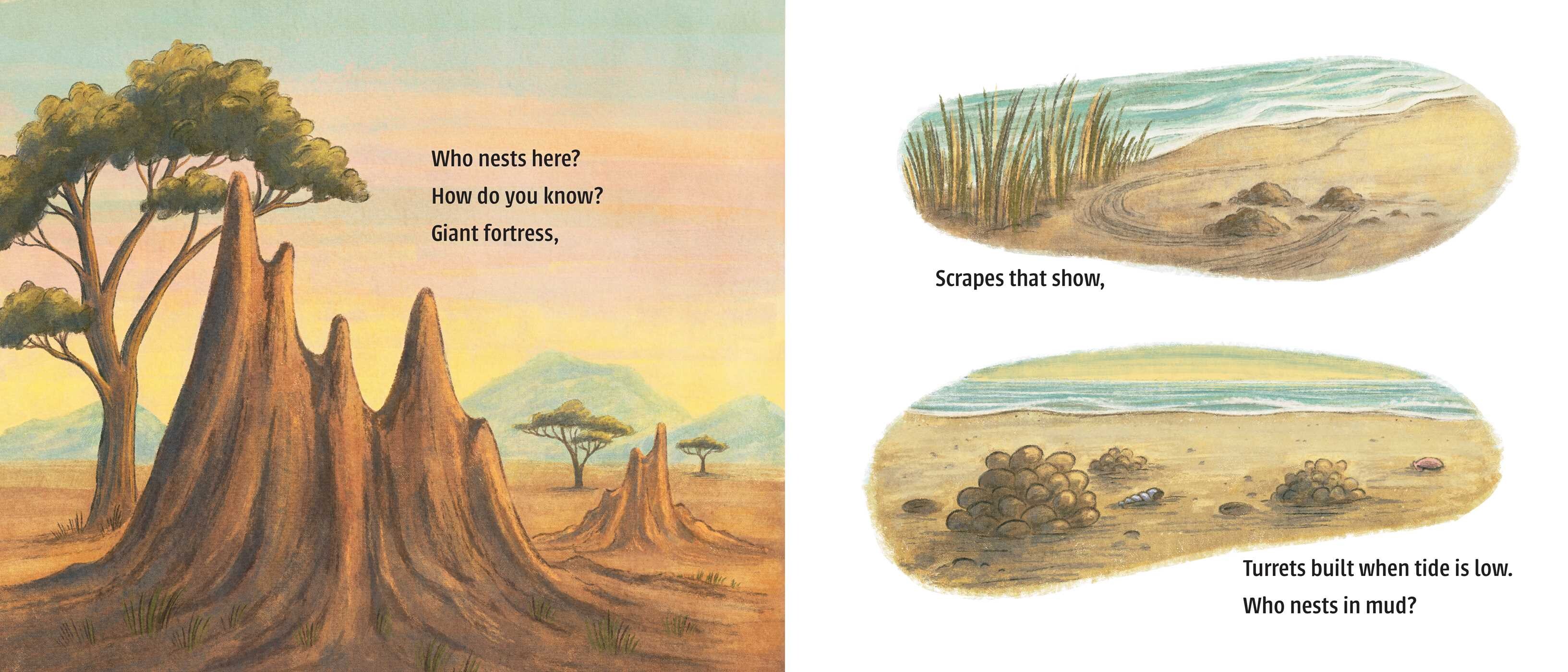 Who Nests Here? | Book by Karen Jameson, Ramona Kaulitzki | Official ...