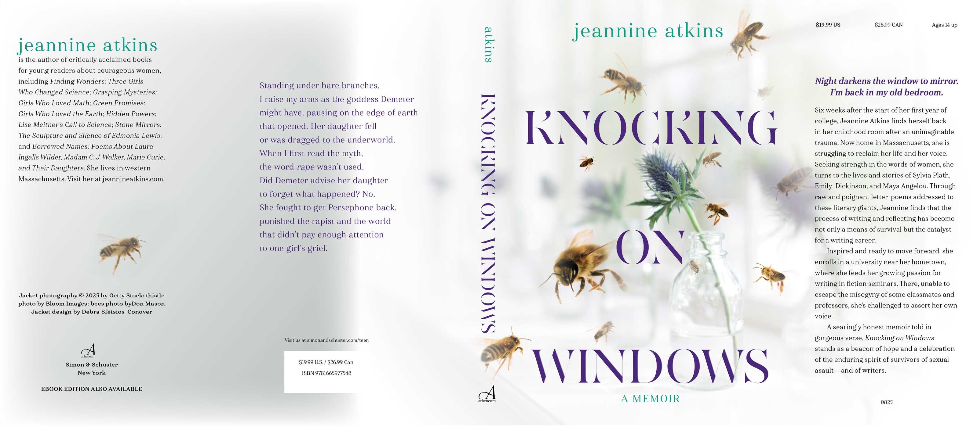 Knocking on Windows | Book by Jeannine Atkins | Official Publisher Page ...
