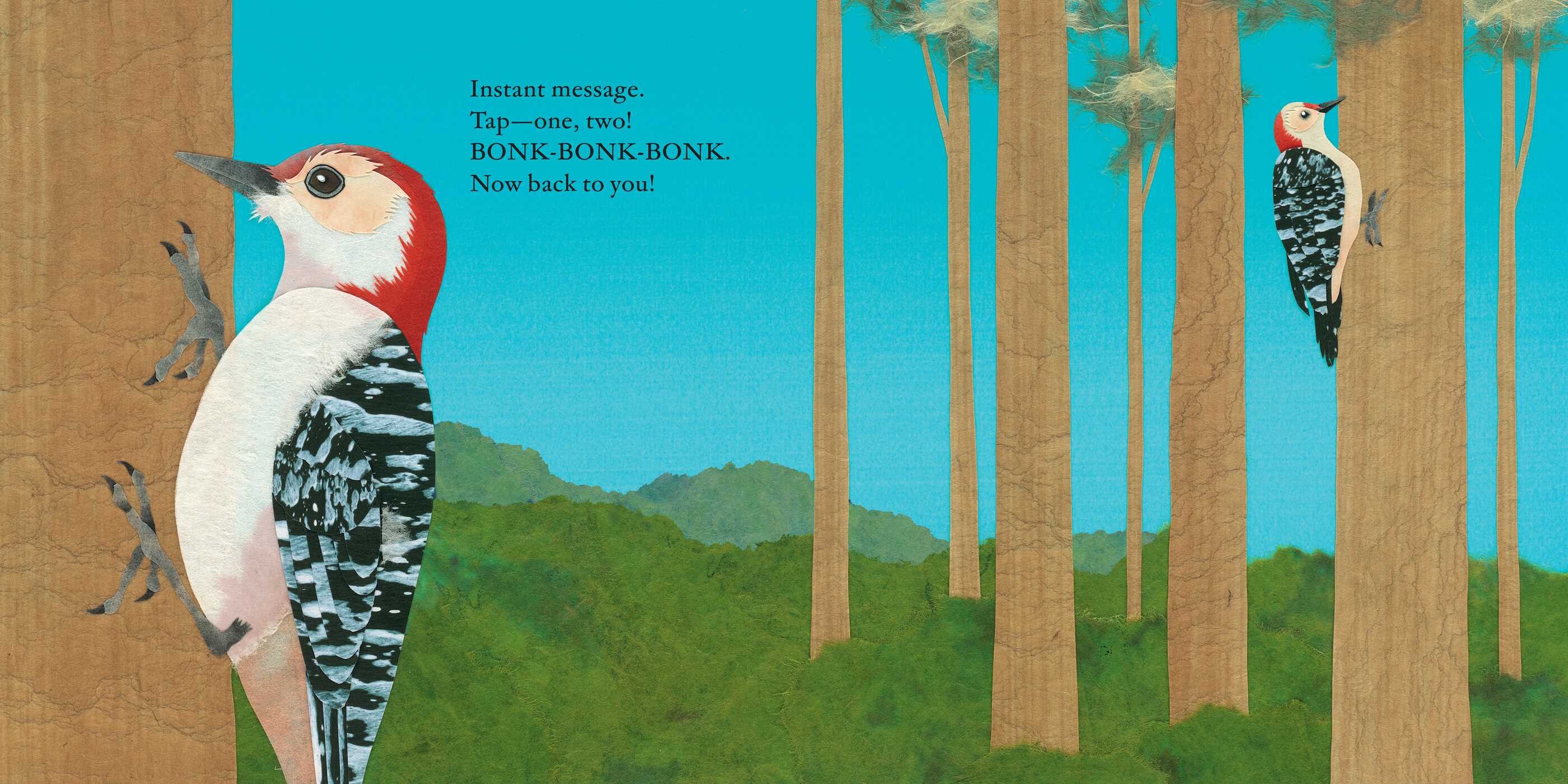 Woodpecker Wham! | Book by April Pulley Sayre, Steve Jenkins | Official ...