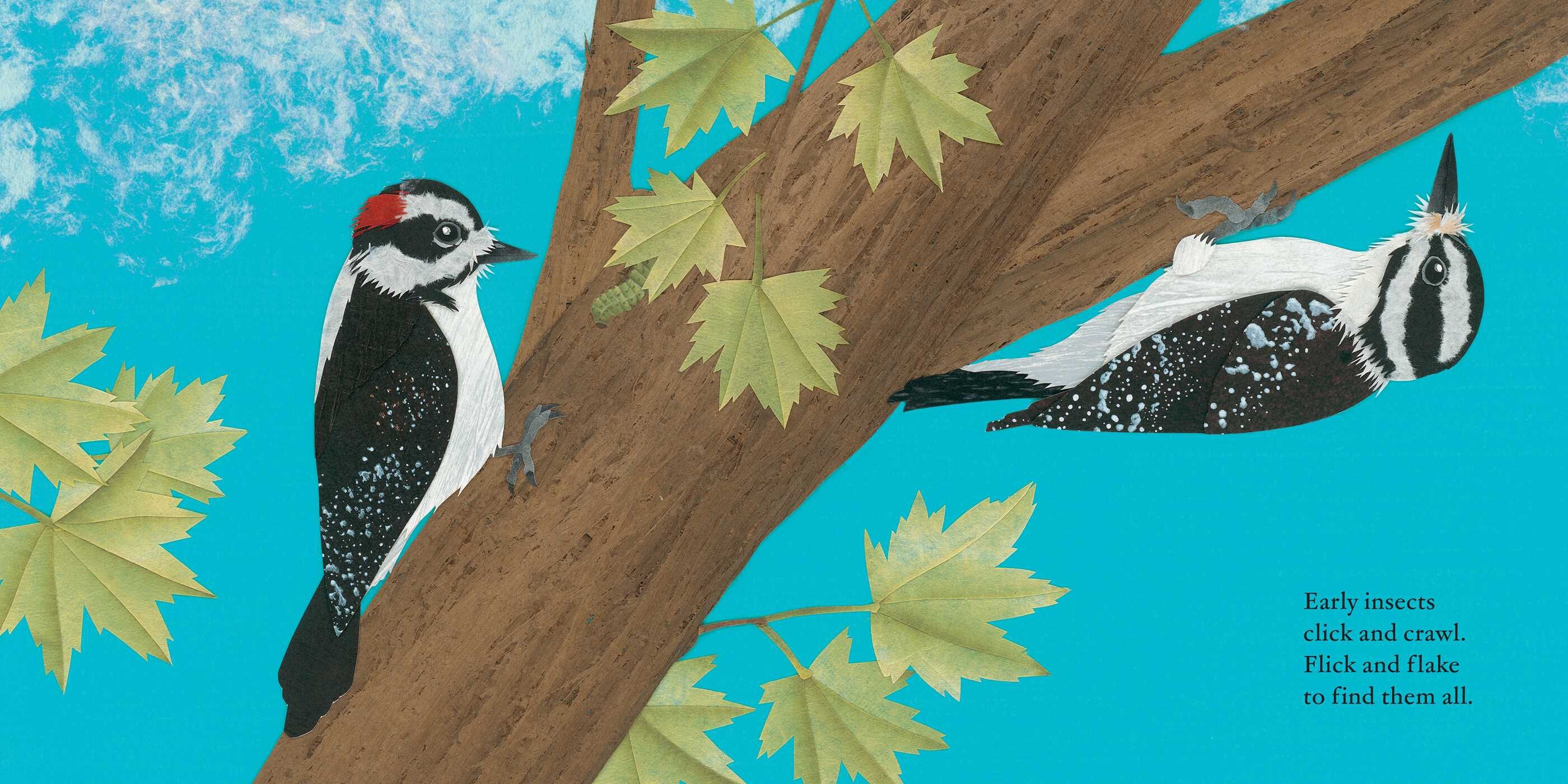 Woodpecker Wham! | Book by April Pulley Sayre, Steve Jenkins | Official ...