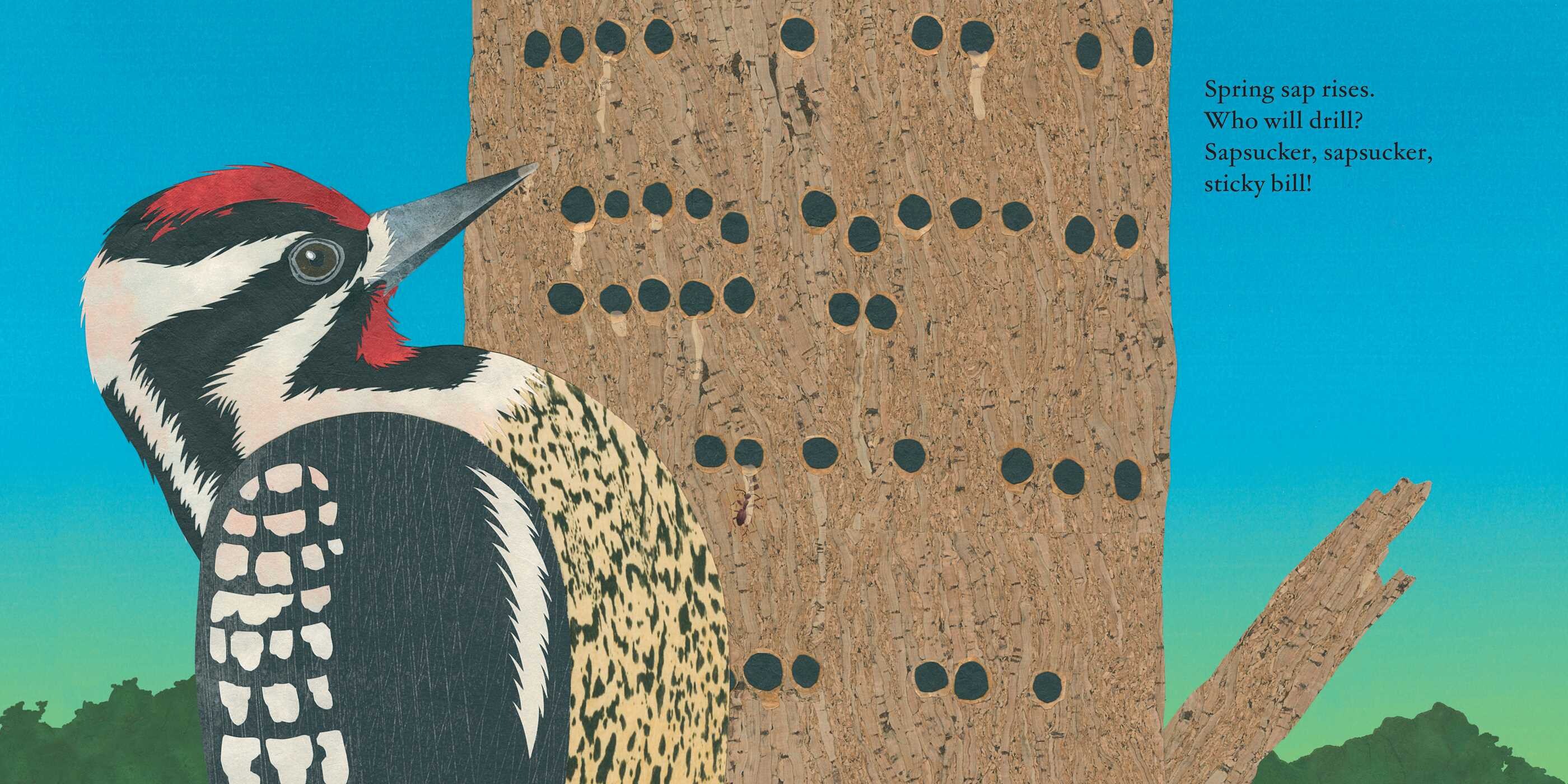 Woodpecker Wham! | Book by April Pulley Sayre, Steve Jenkins | Official ...