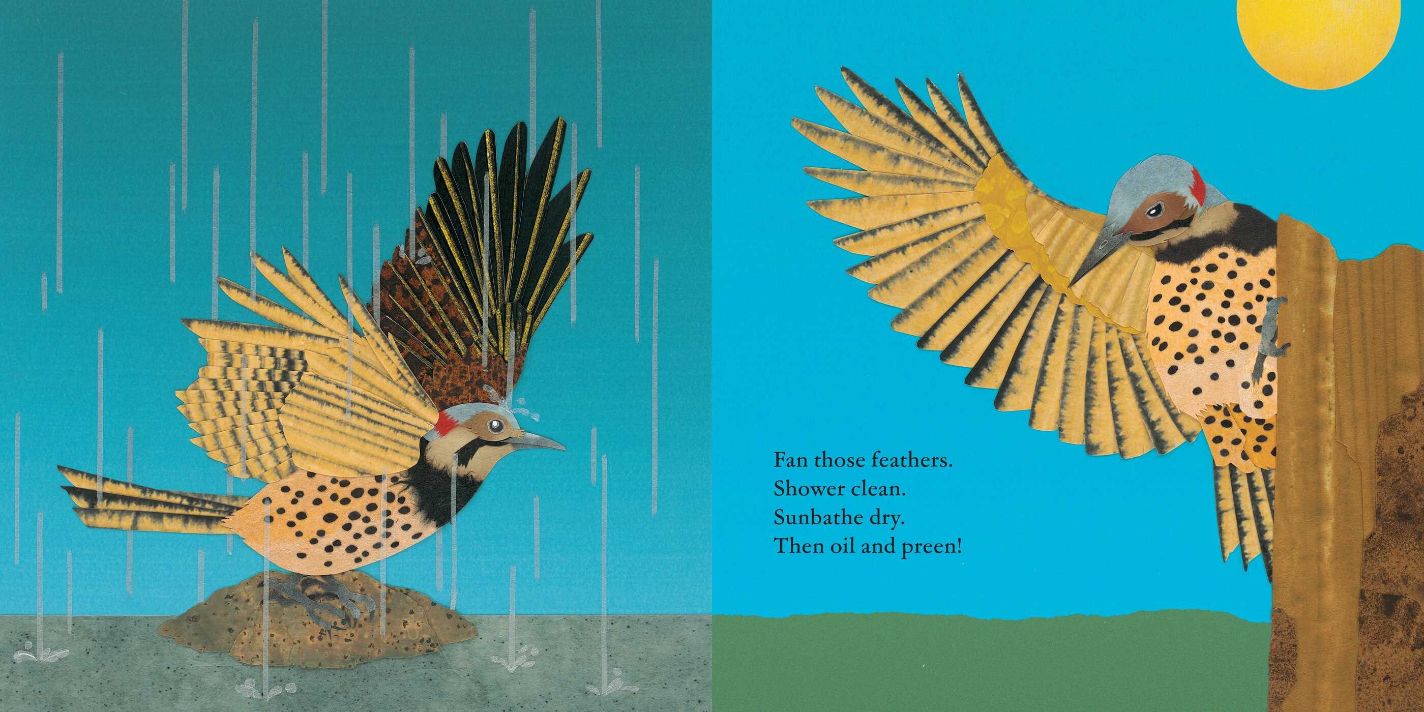 Woodpecker Wham! | Book by April Pulley Sayre, Steve Jenkins | Official ...