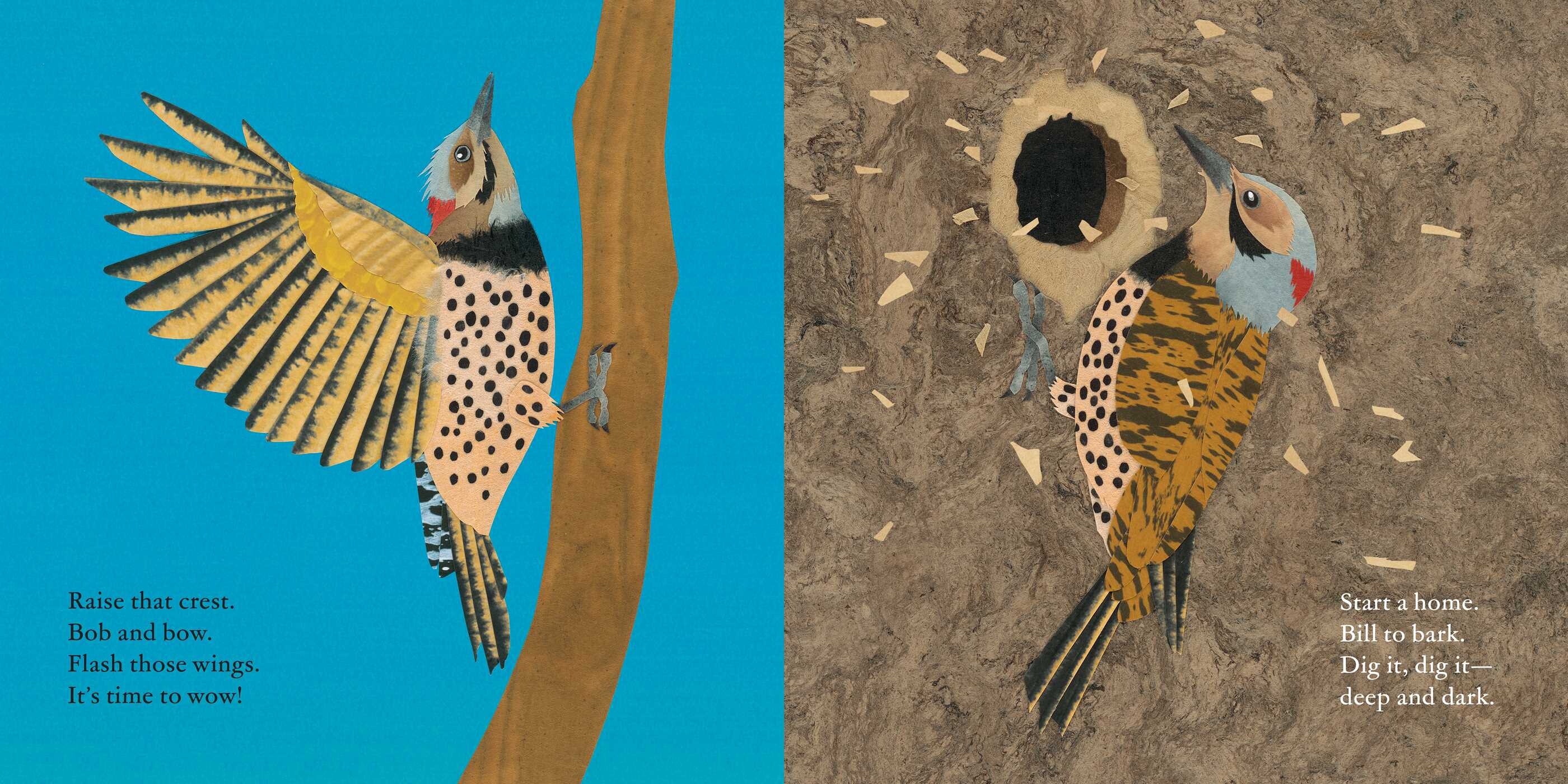 Woodpecker Wham! | Book by April Pulley Sayre, Steve Jenkins | Official ...