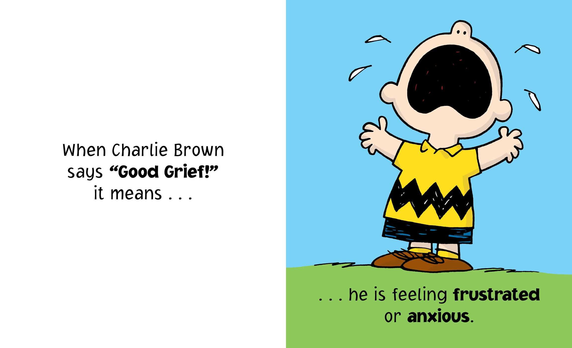 Goodness and Good Grief! | Book by Charles M. Schulz, Natalie Shaw ...