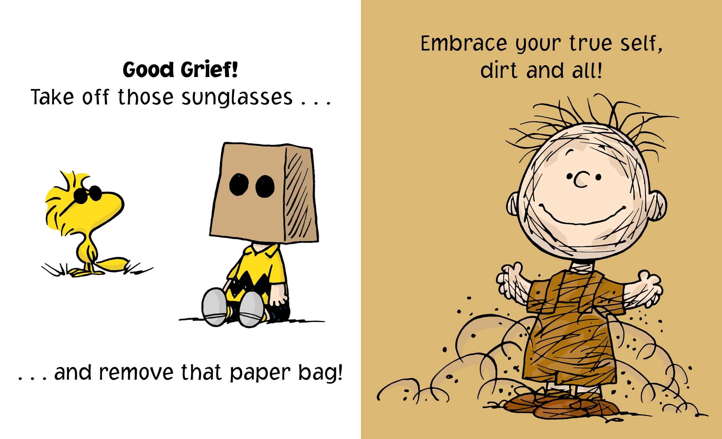 Goodness and Good Grief! | Book by Charles M. Schulz, Natalie Shaw ...