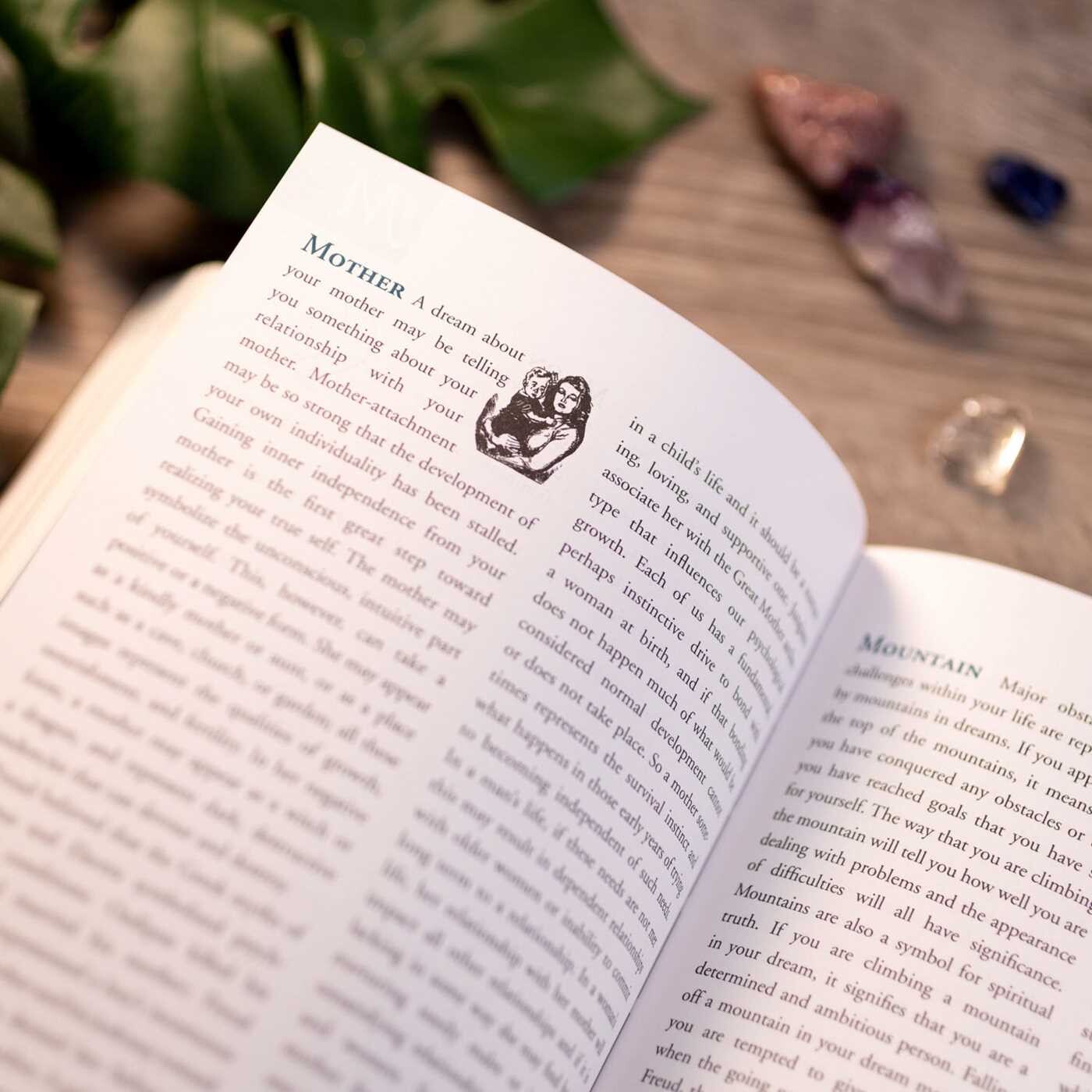 The Dream Dictionary | Book by Theresa Cheung | Official Publisher Page ...