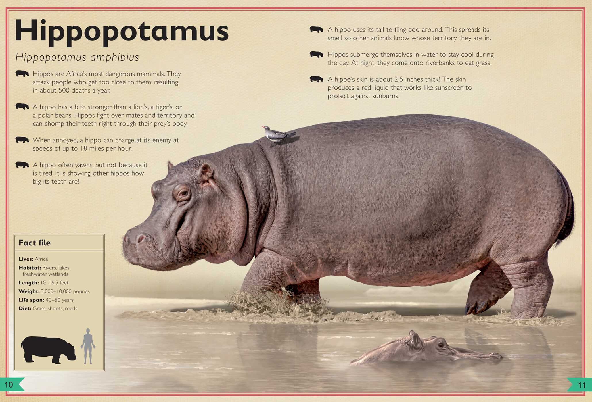 The Magnificent Book of Dangerous Animals | Book by Tom Jackson, Val ...