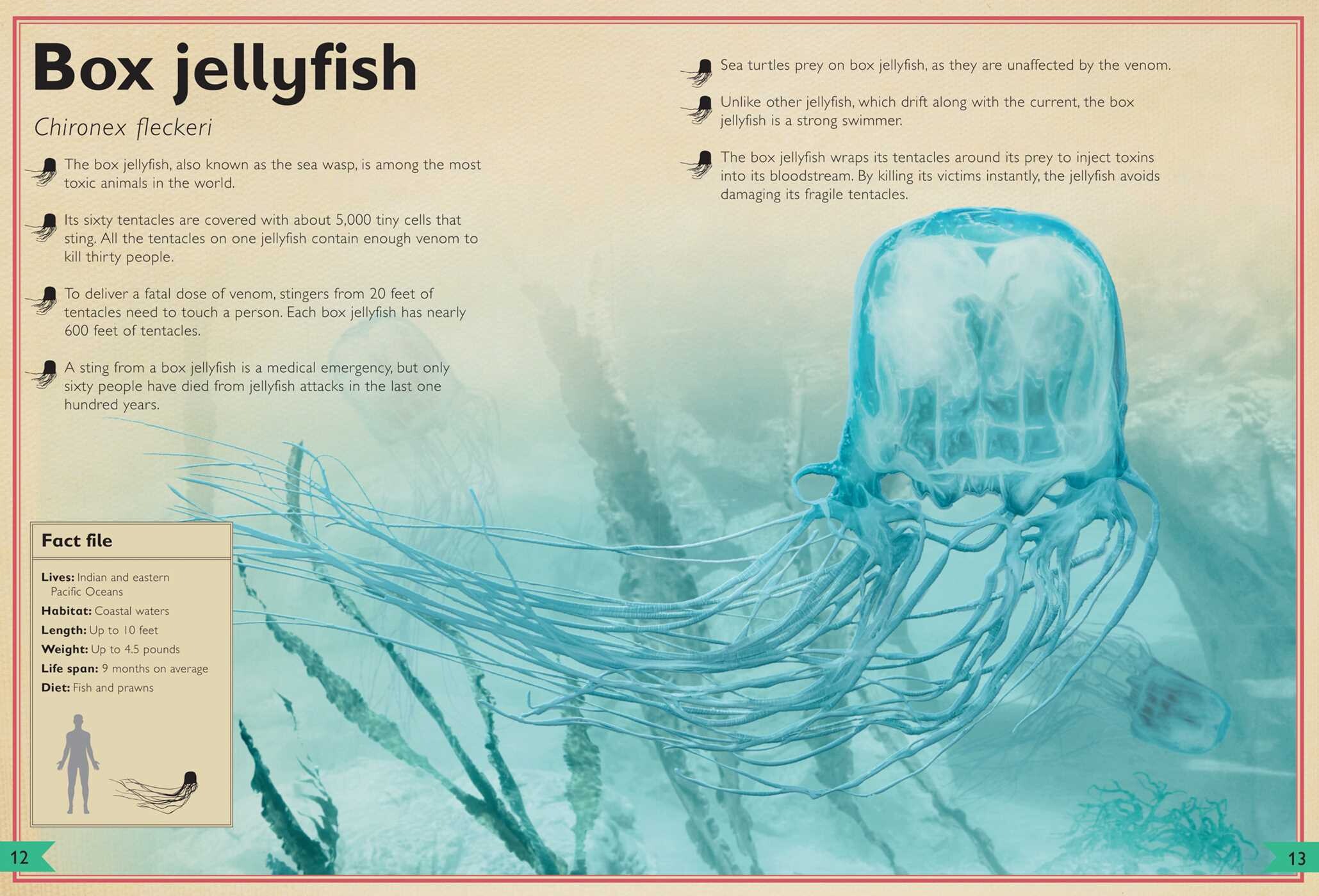 The Magnificent Book of Dangerous Animals | Book by Tom Jackson, Val ...