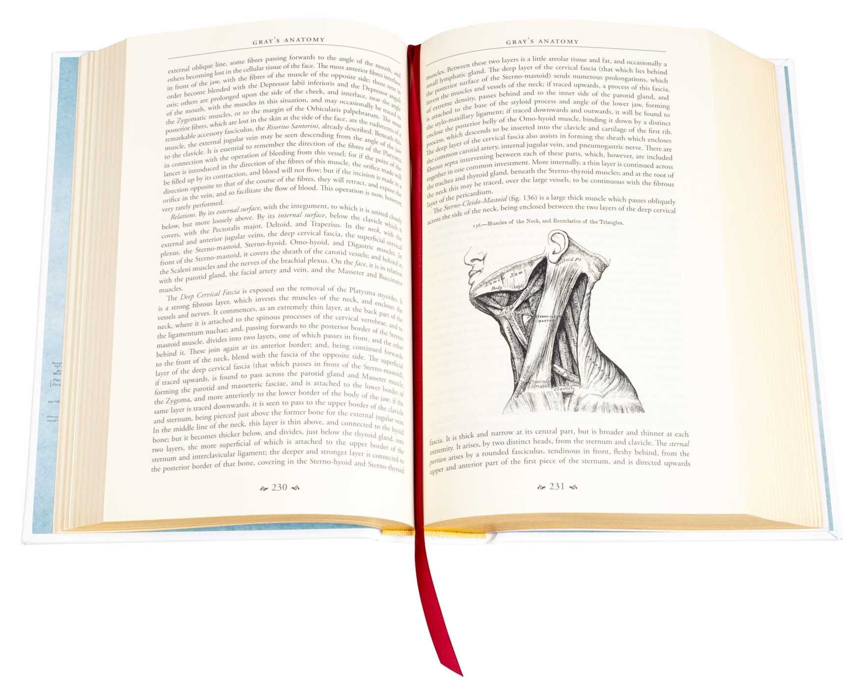 Gray's Anatomy | Book by Henry Gray FRS, Henry Vandyke Carter, R. Shane ...
