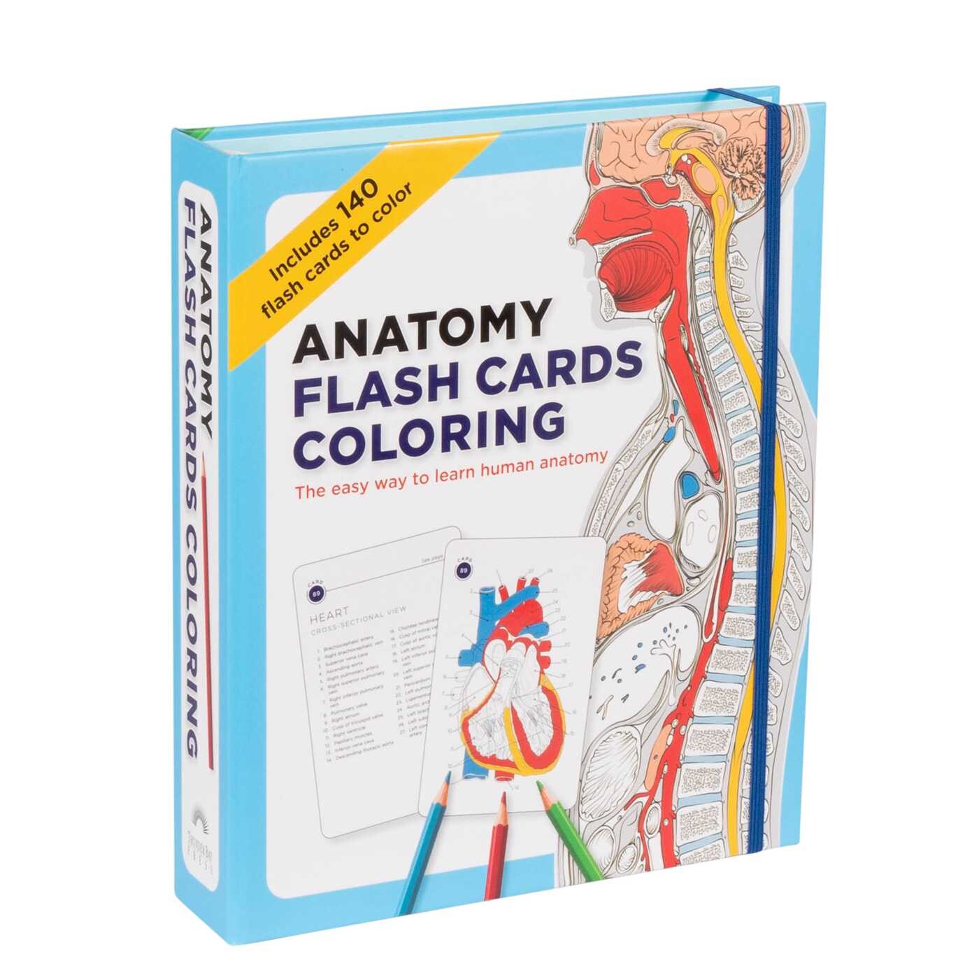 Anatomy Flash Cards Coloring - Book Summary & Video | Official ...
