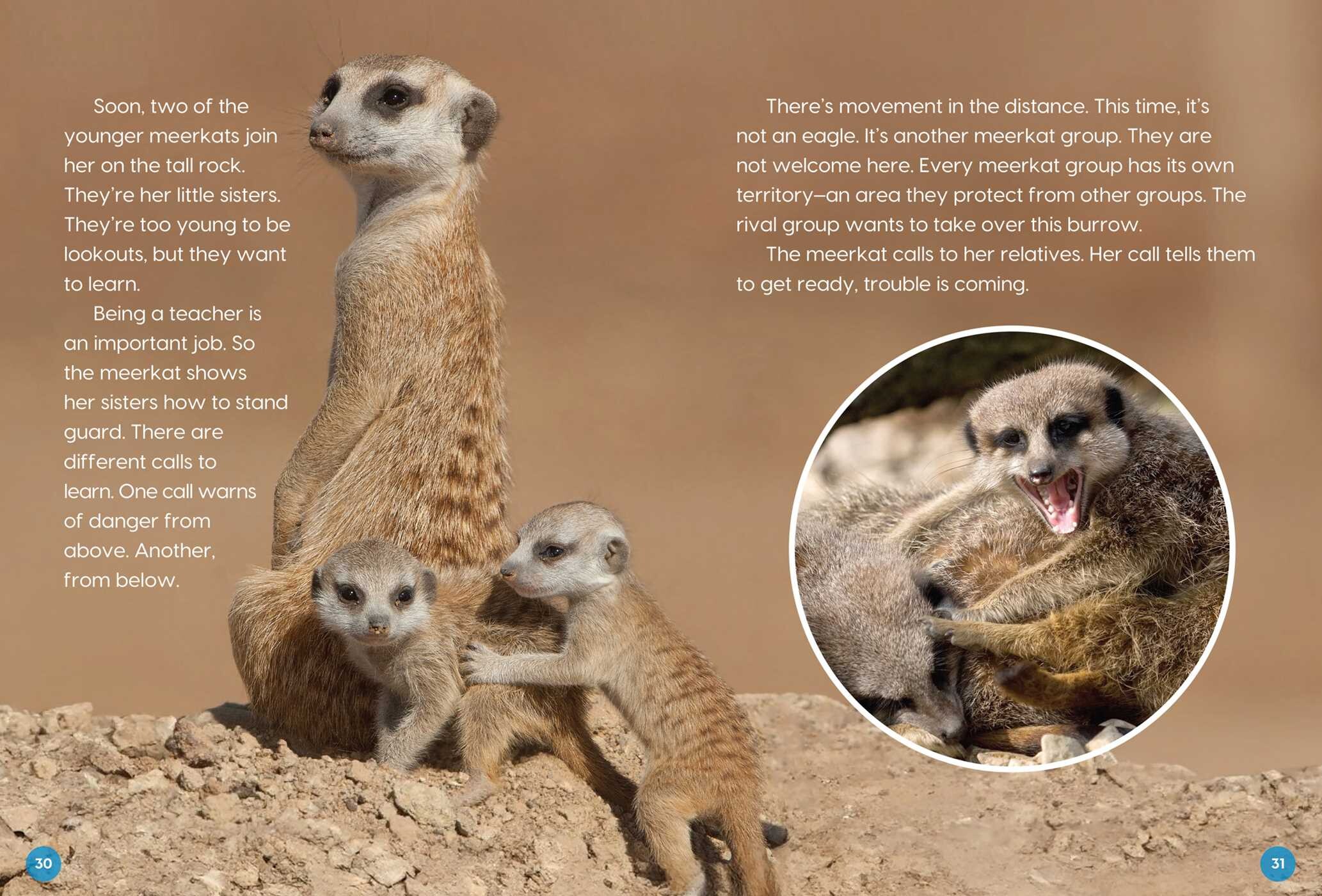 Discovery 5-Minute Animal Tales | Book by Editors of Silver Dolphin ...